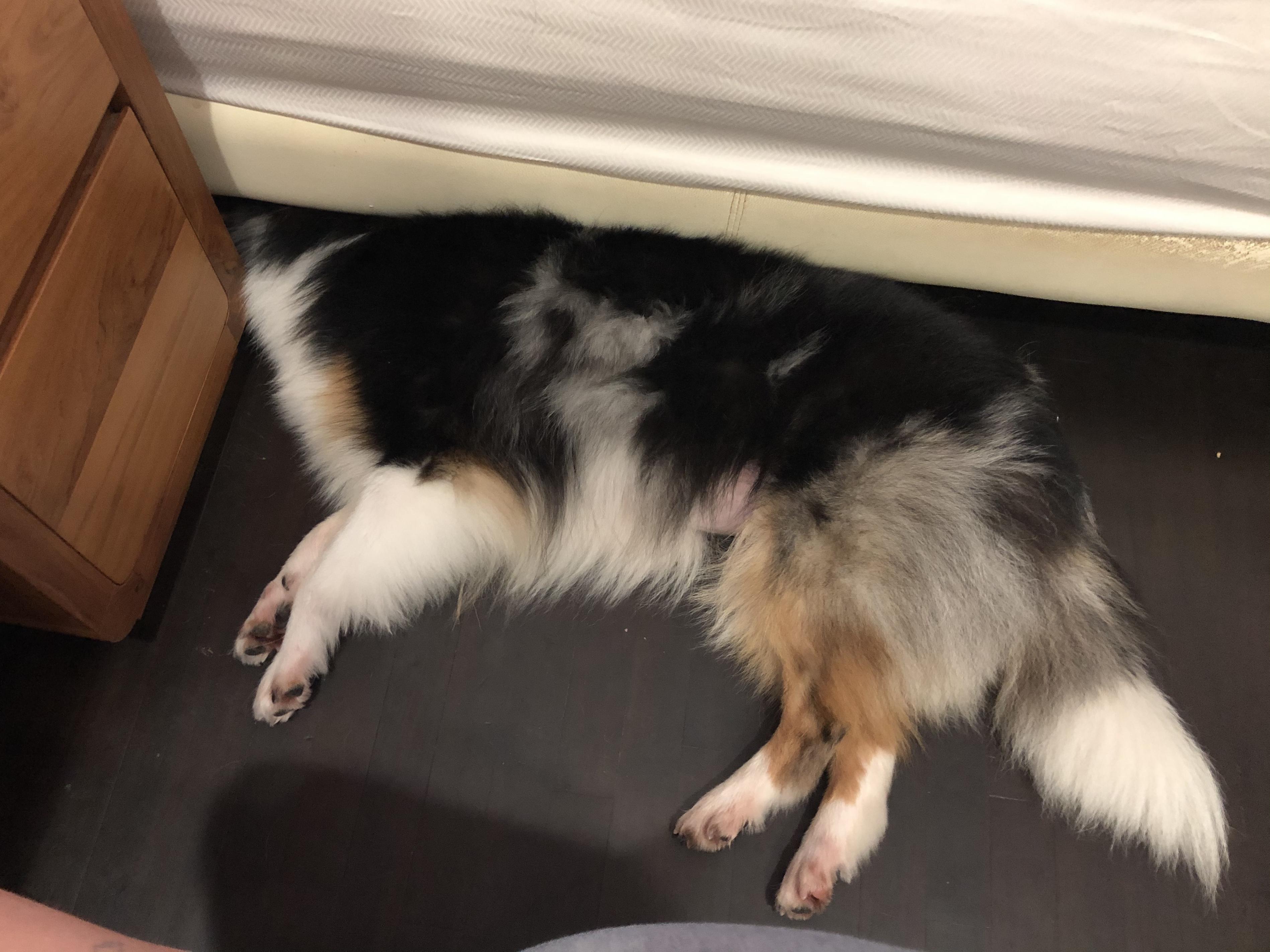 She's not usually headless... | Scrolller