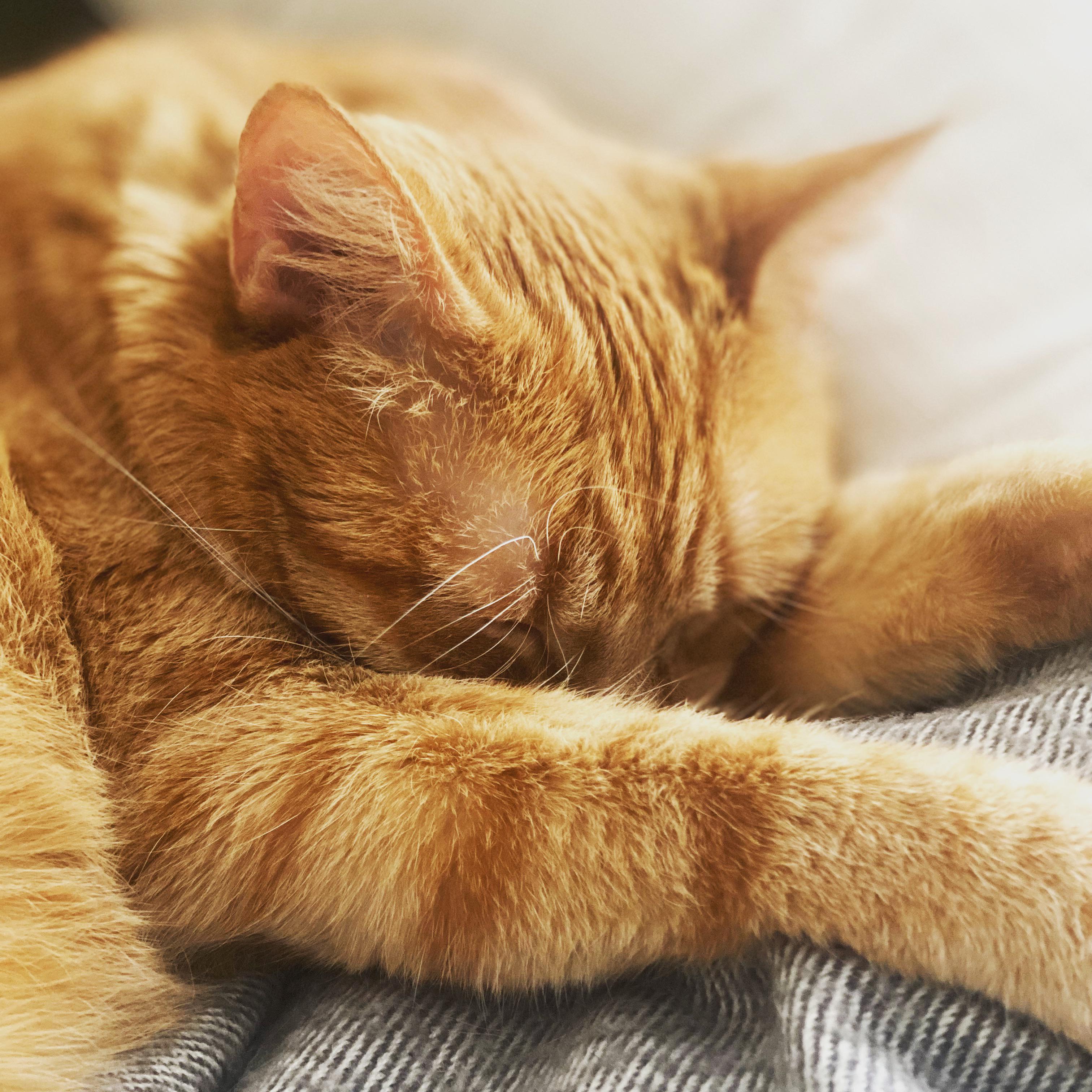 Shh…she’s napping. | Scrolller