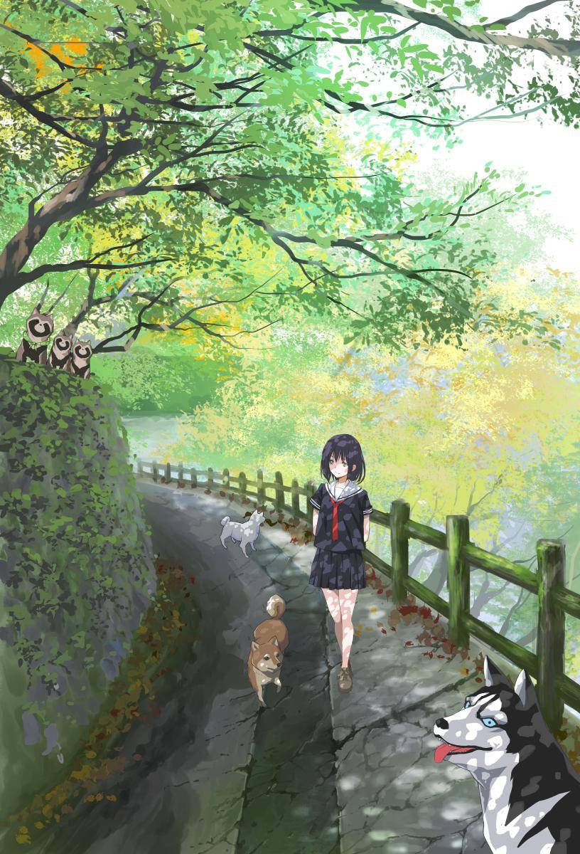 Shiba Inu [Original] | Scrolller