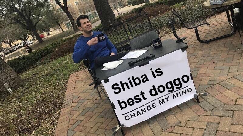 Shibe is best doggo | Scrolller