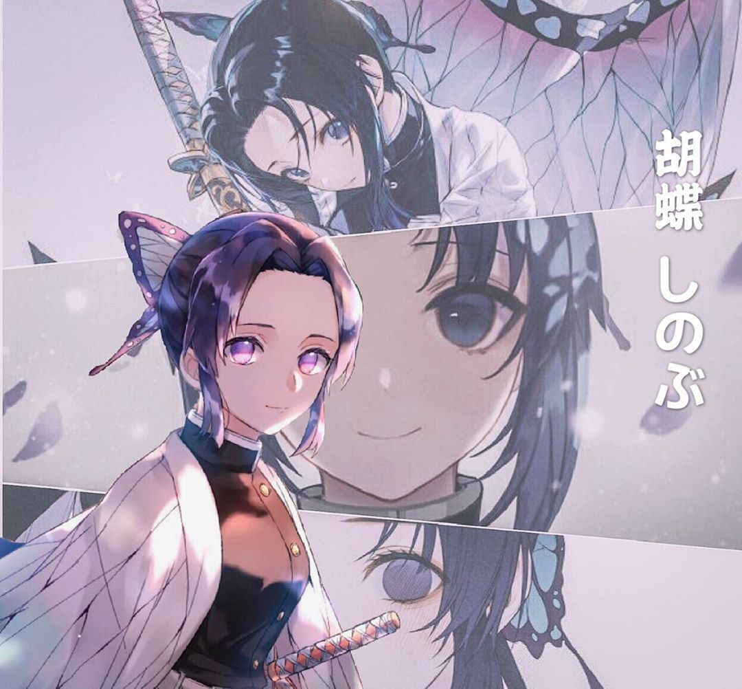 #Shinobu kocho | Scrolller