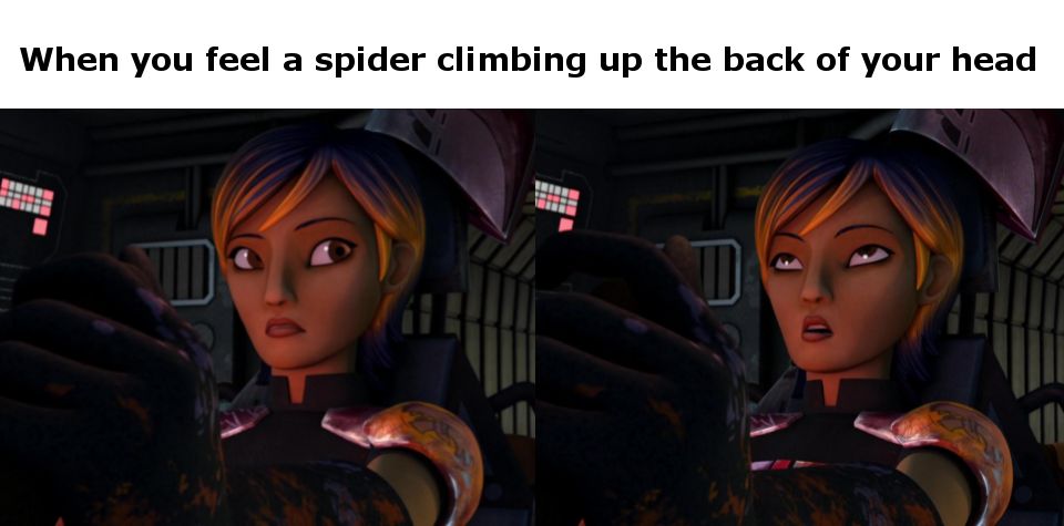 Shitposting at its finest | Scrolller