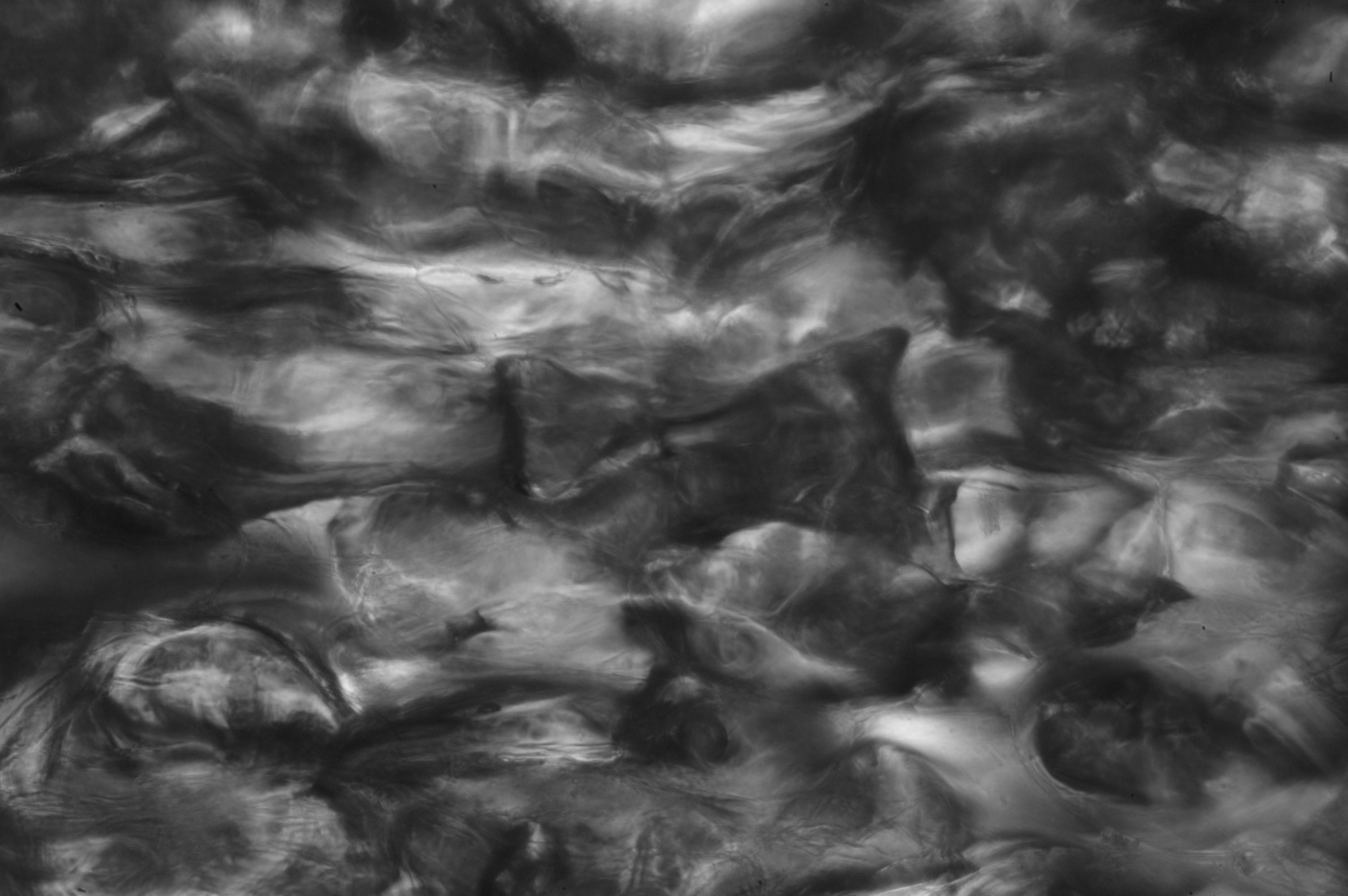 Shooting With Microscope Scrolller 0630