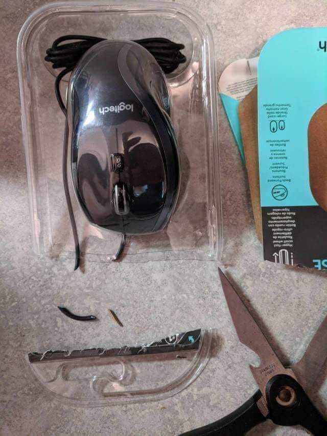 Short mouse lifespan | Scrolller