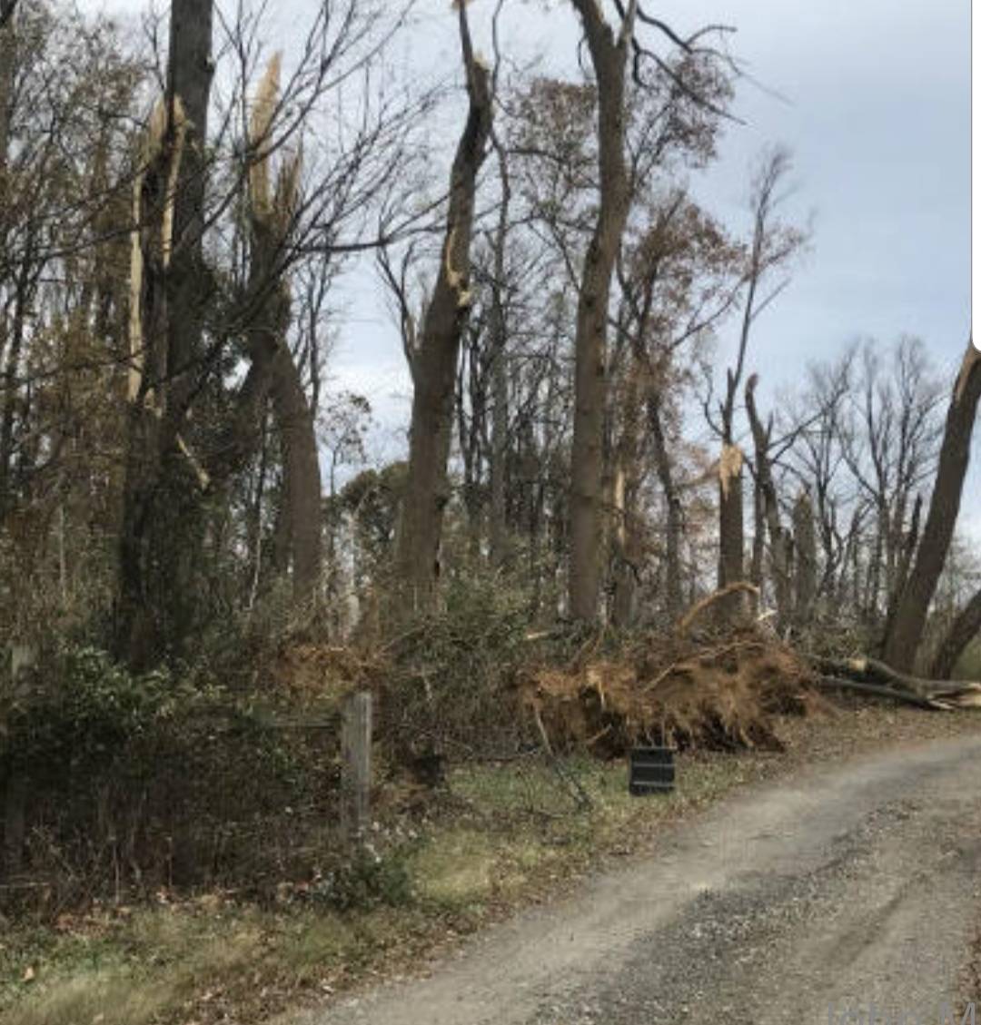 Shot of part of the path of the EF2 that touched down by me (Delaware County PA) Halloween night ...