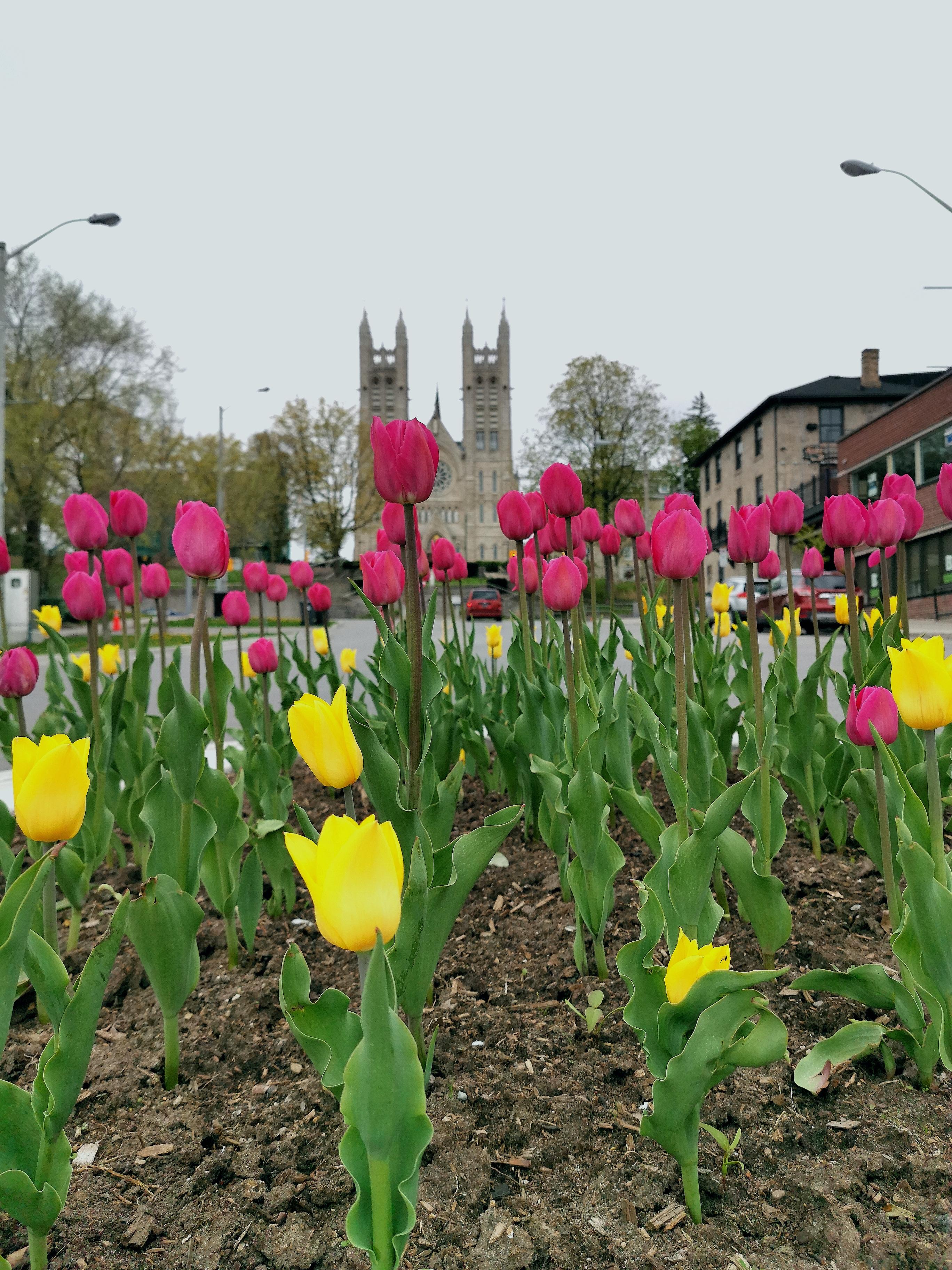 Shot with my p30 pro | Scrolller