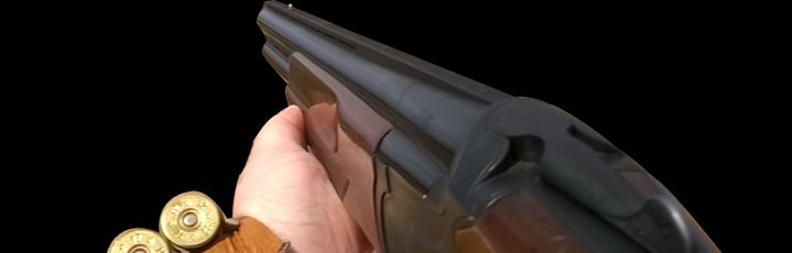 Shotgun Point of View | Scrolller