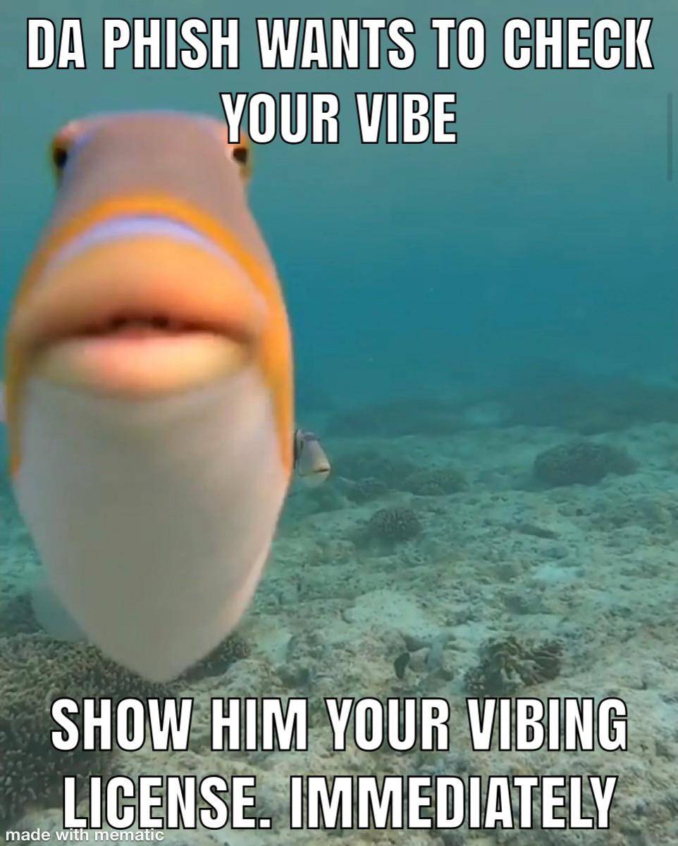 Show him your vibe. Right now. | Scrolller
