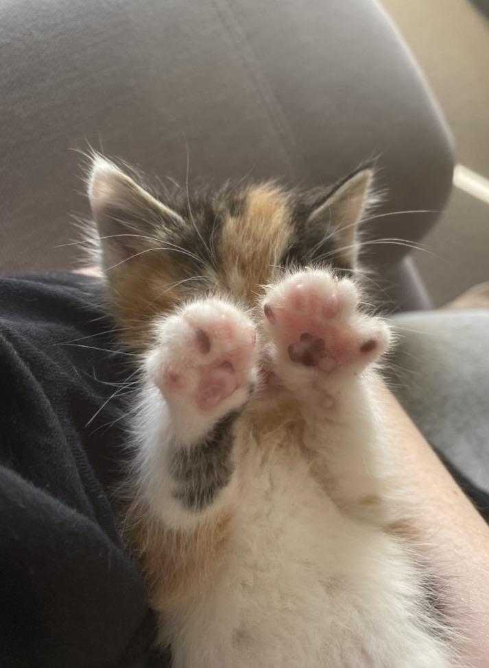 Showing off her tiny toe beans ️ | Scrolller