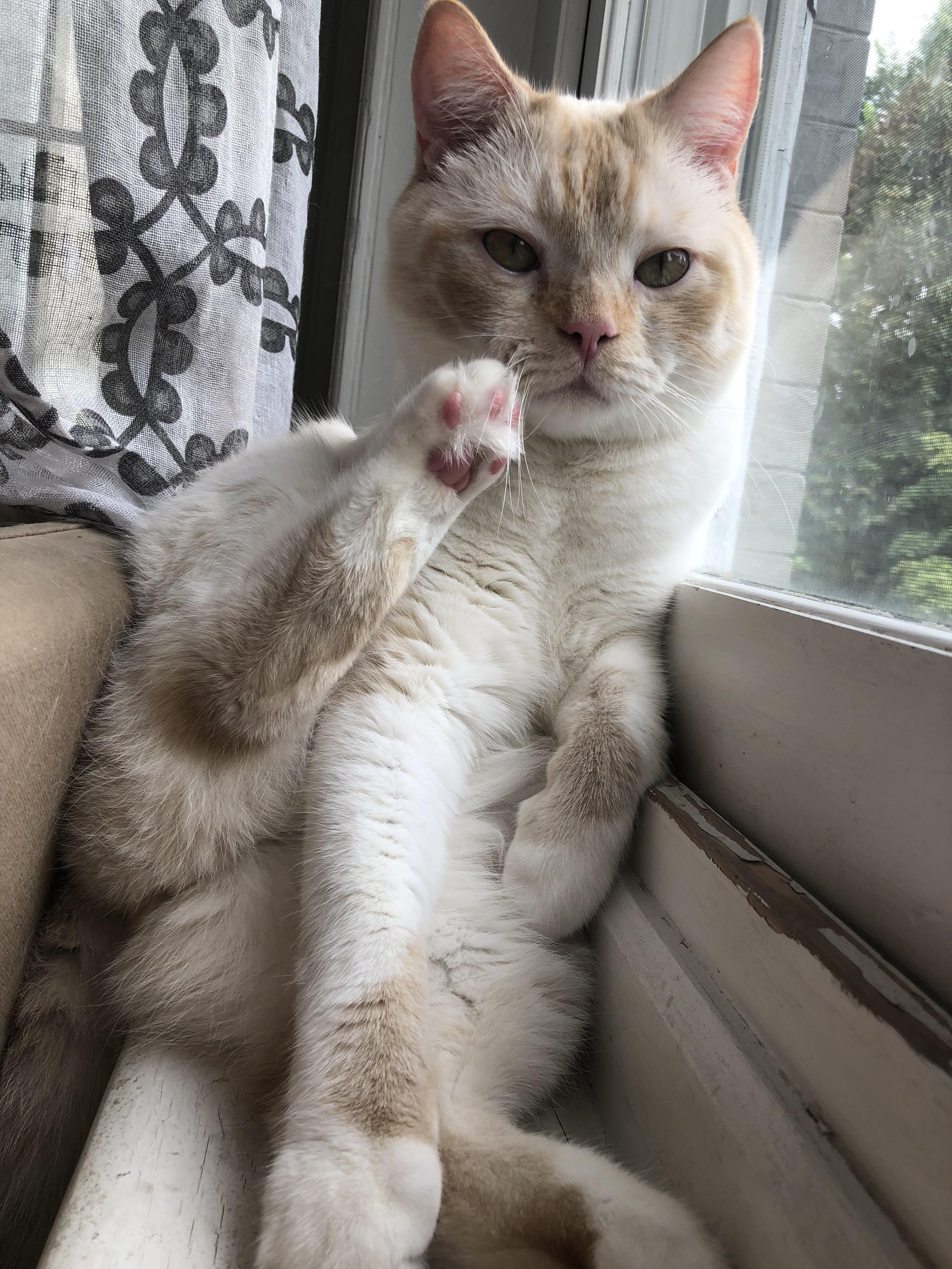 Showing off his floofy beans | Scrolller