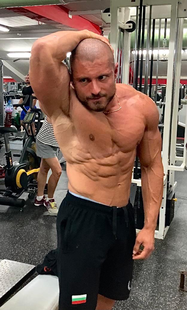 Shredded | Scrolller