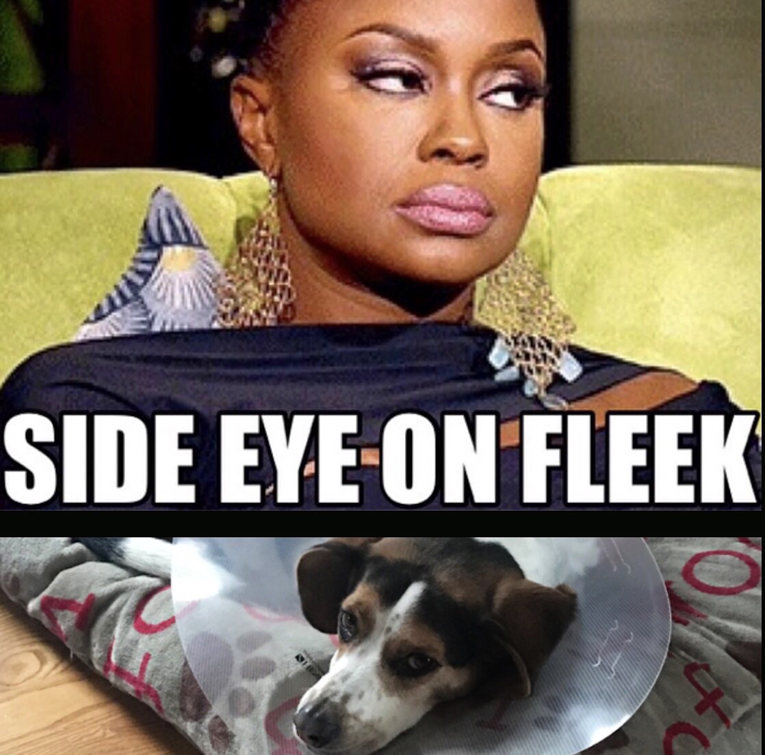 Side eye ..... if looks could kill | Scrolller