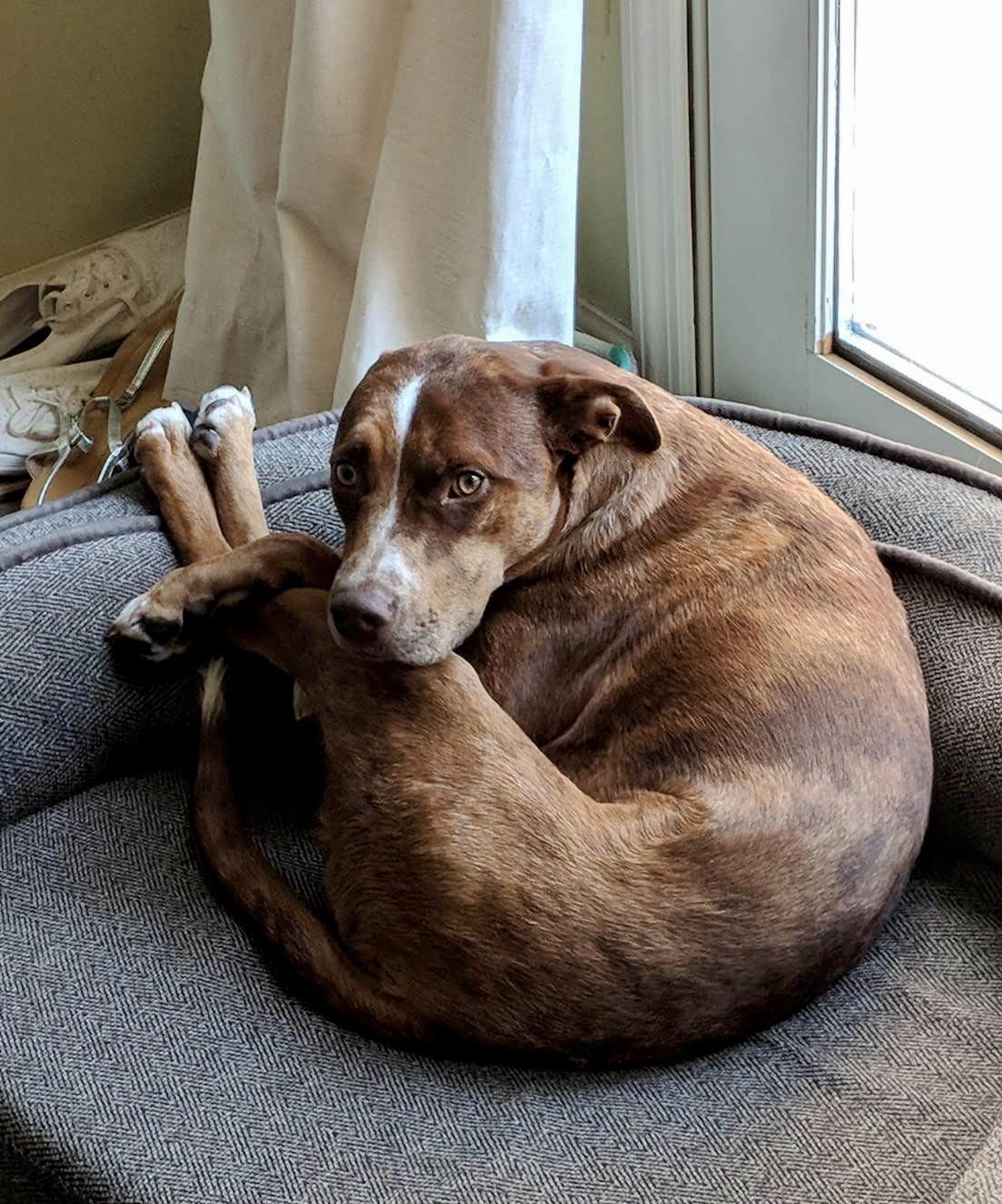 Sideways prawn pose? He’s a keeper! | Scrolller