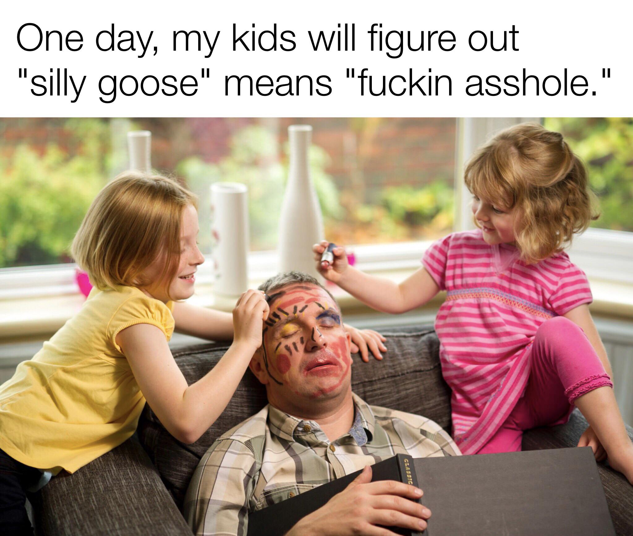 silly goose | Scrolller