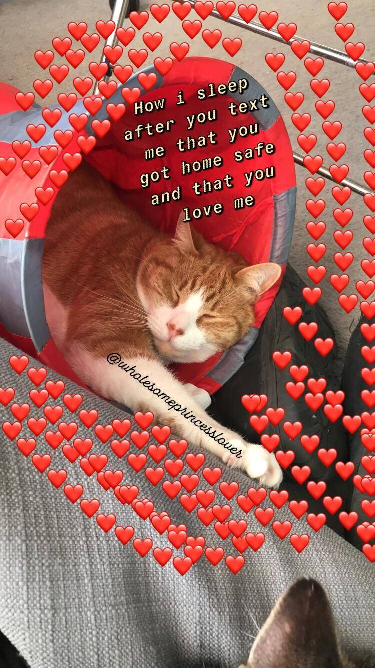 Simba the sleepy kitty is back | Scrolller