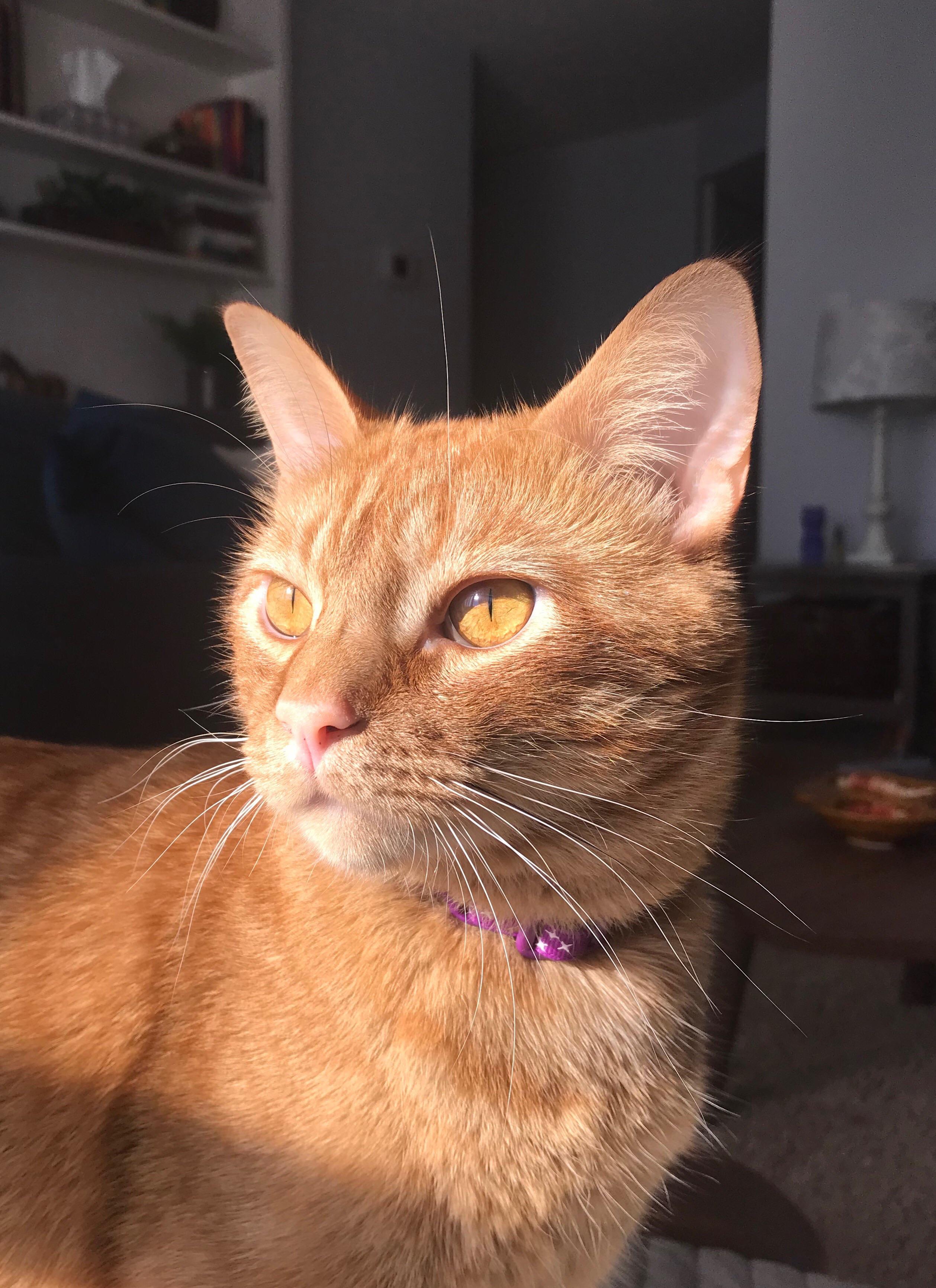 Simon knows his good side | Scrolller