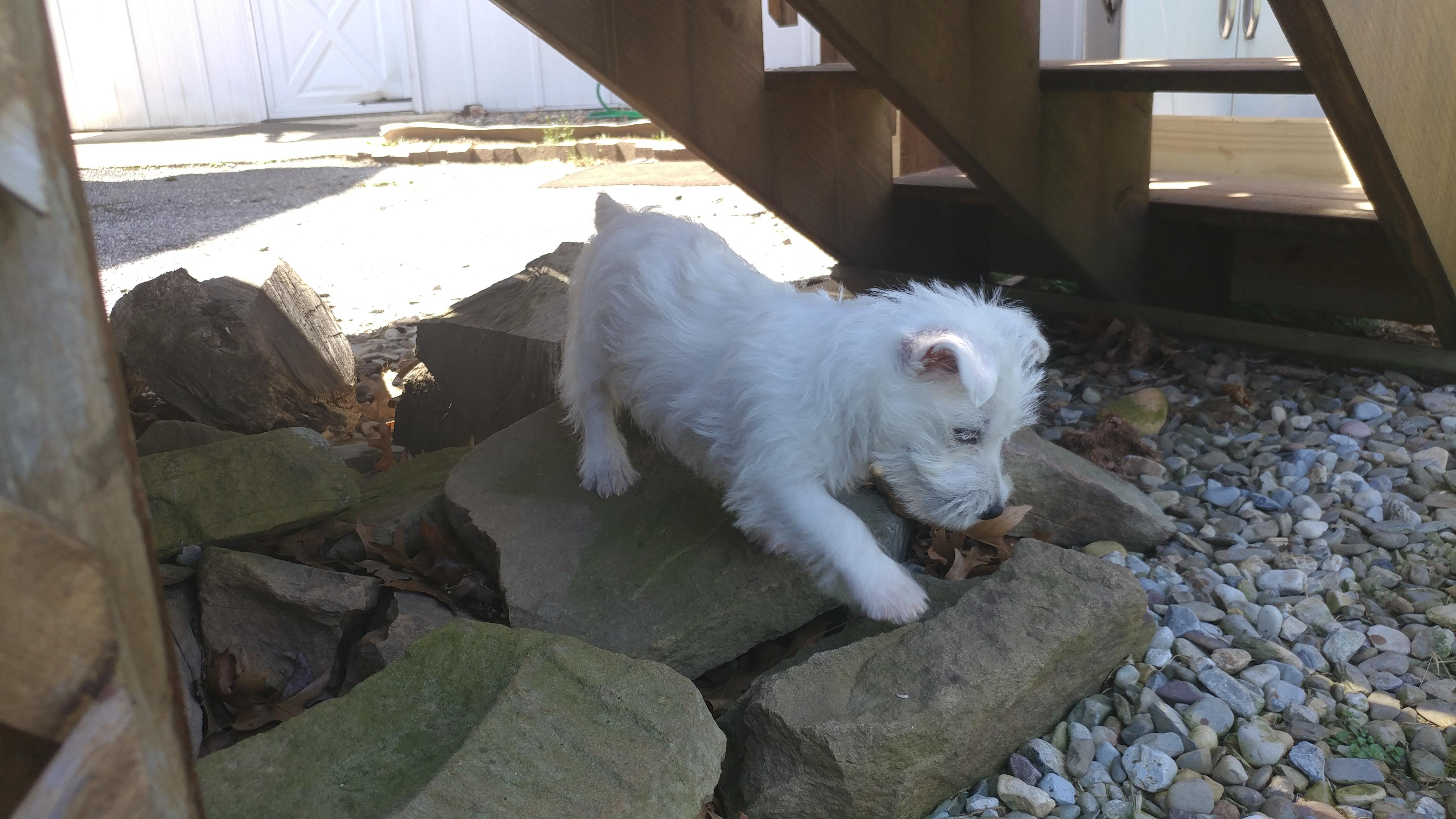 Simon on lunch break | Scrolller