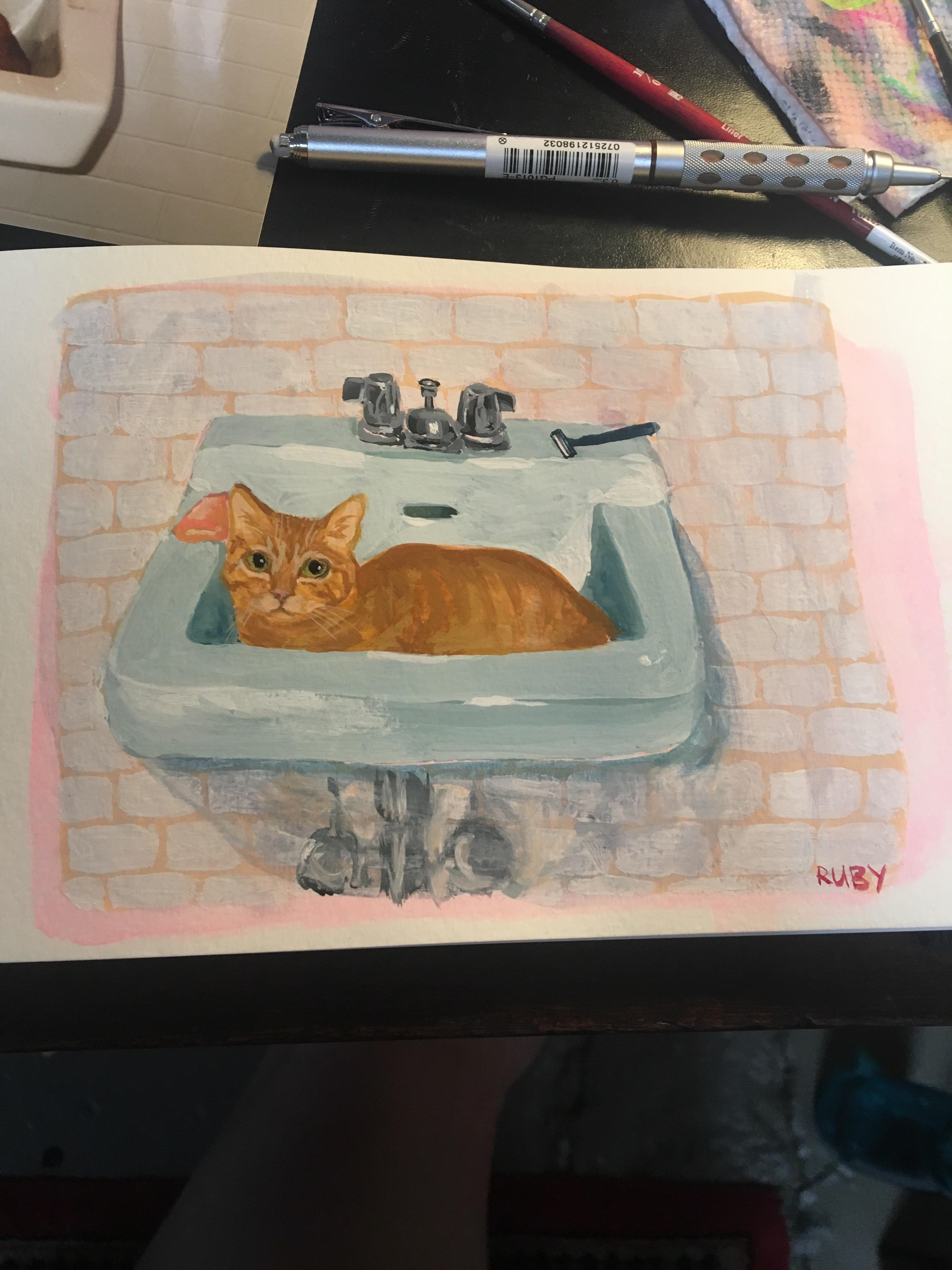 sink cat (oc) | Scrolller