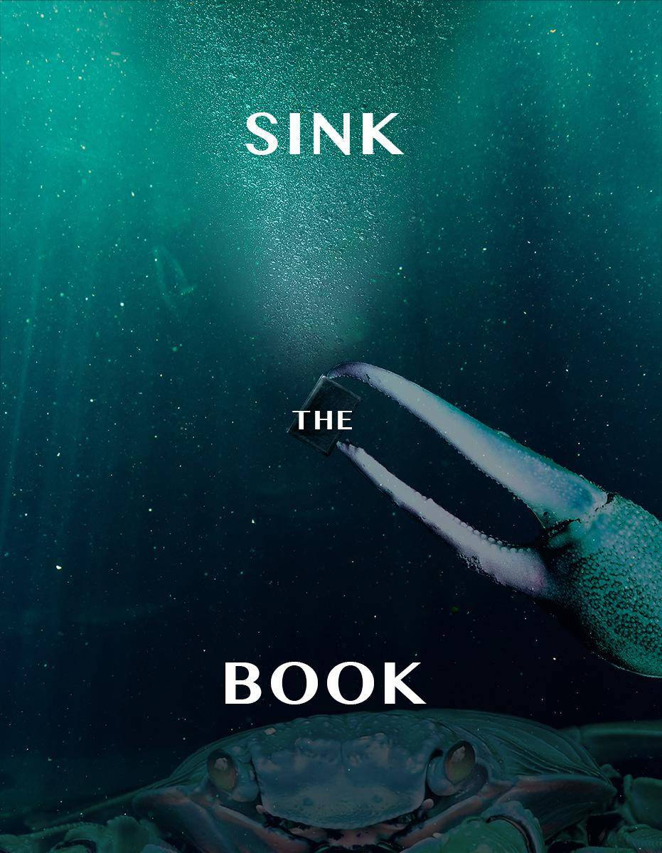 SINK the book | Scrolller