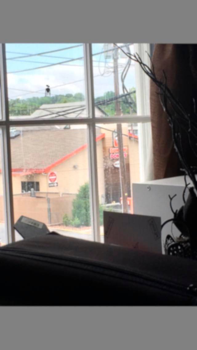 Siren head outside my window | Scrolller