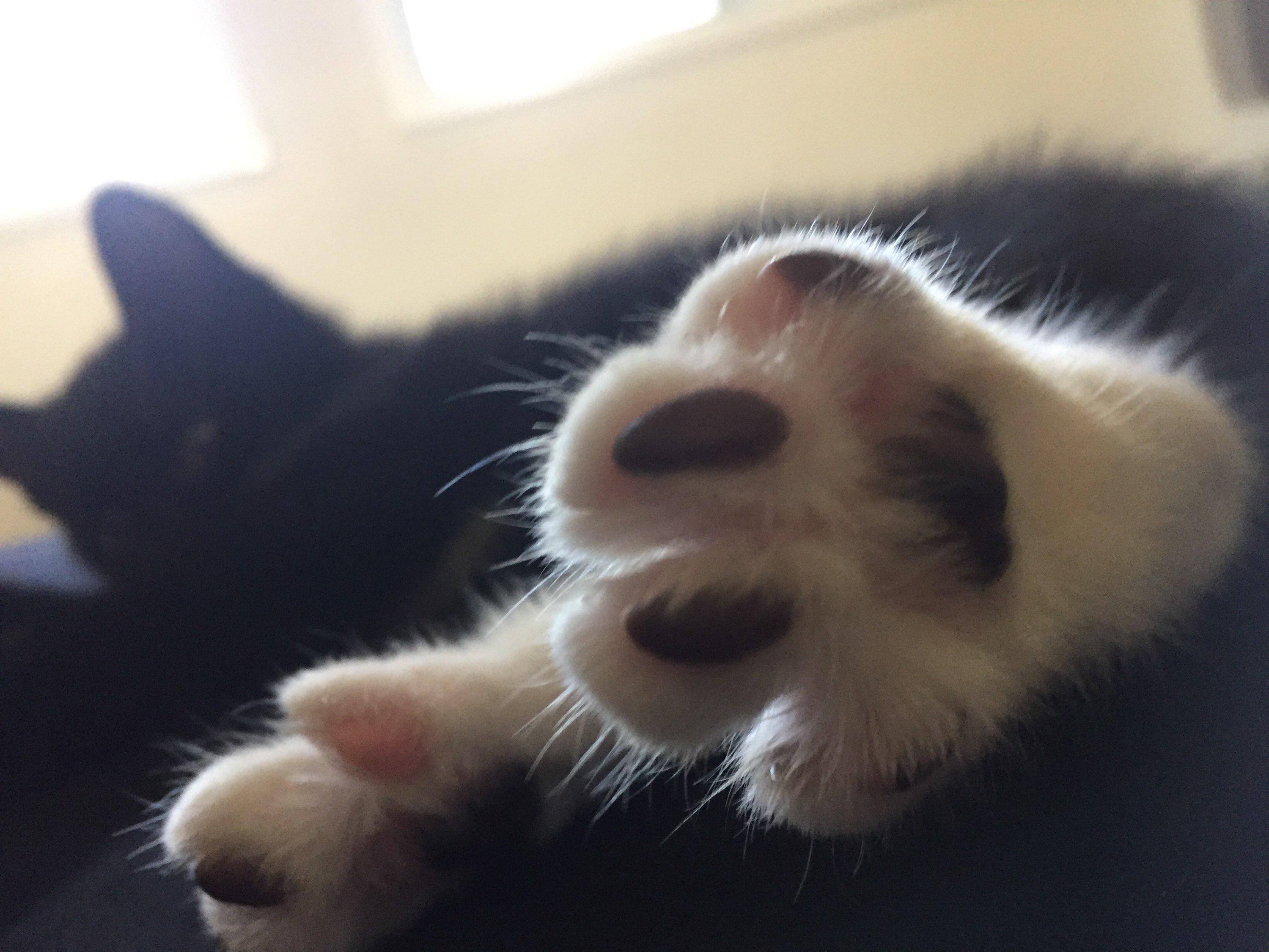 Sister sent these tiny new beans. Jelly? | Scrolller