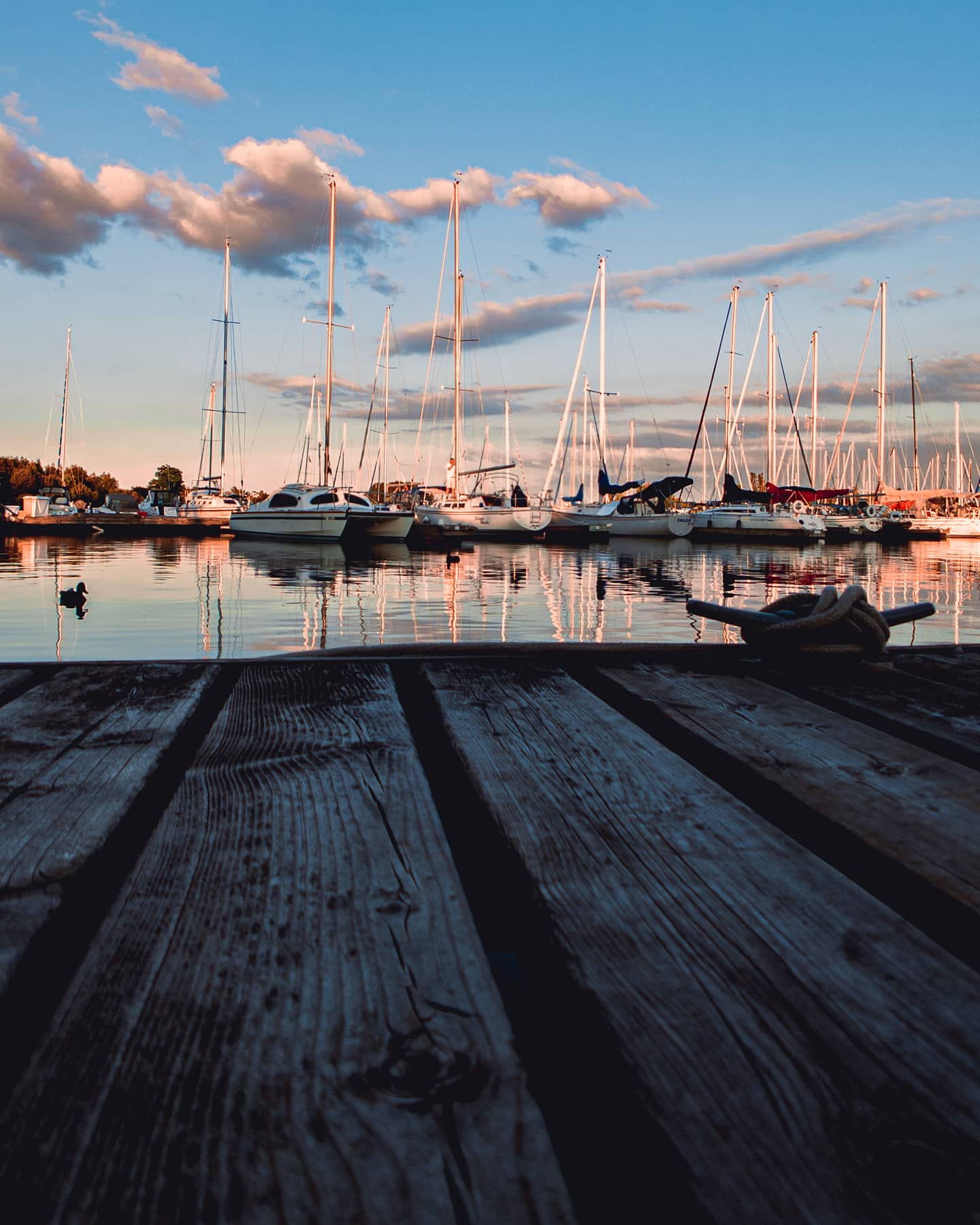 Sitting at the dock wasting time. | Scrolller