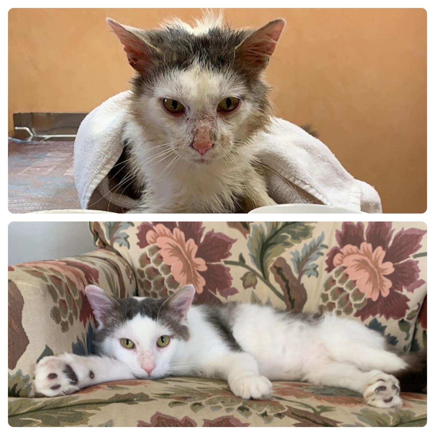 Six months difference. | Scrolller