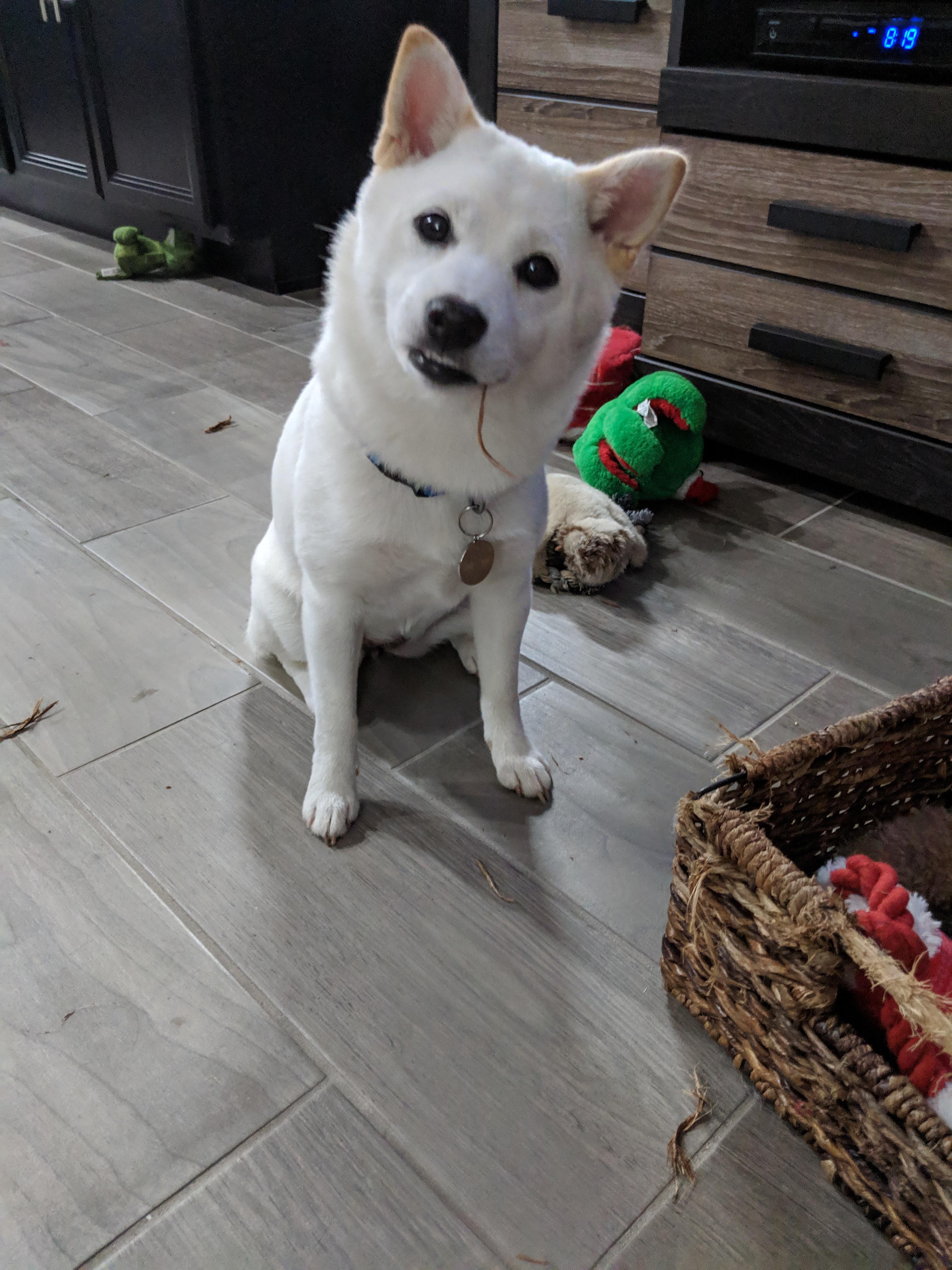 Six months old today! | Scrolller