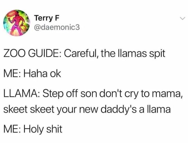 Skeet skeet your new daddy’s a llama | Scrolller