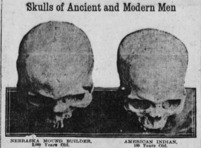 skull comparison | Scrolller