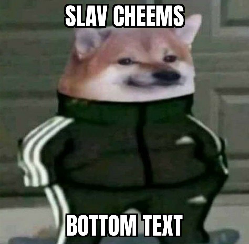 Slav cheems. He is the cheese doggo but slav | Scrolller