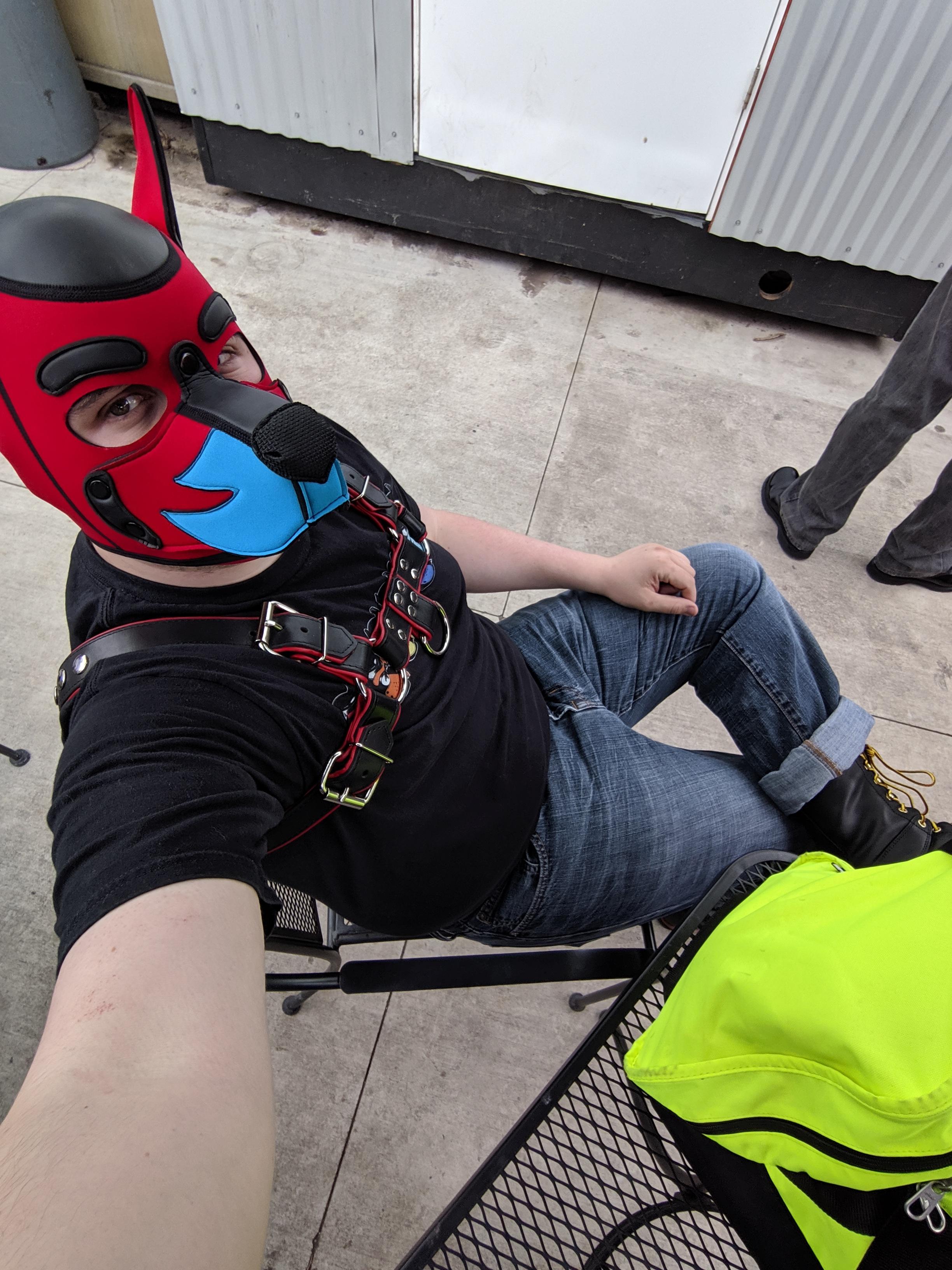 SLC Leather Pride | Scrolller