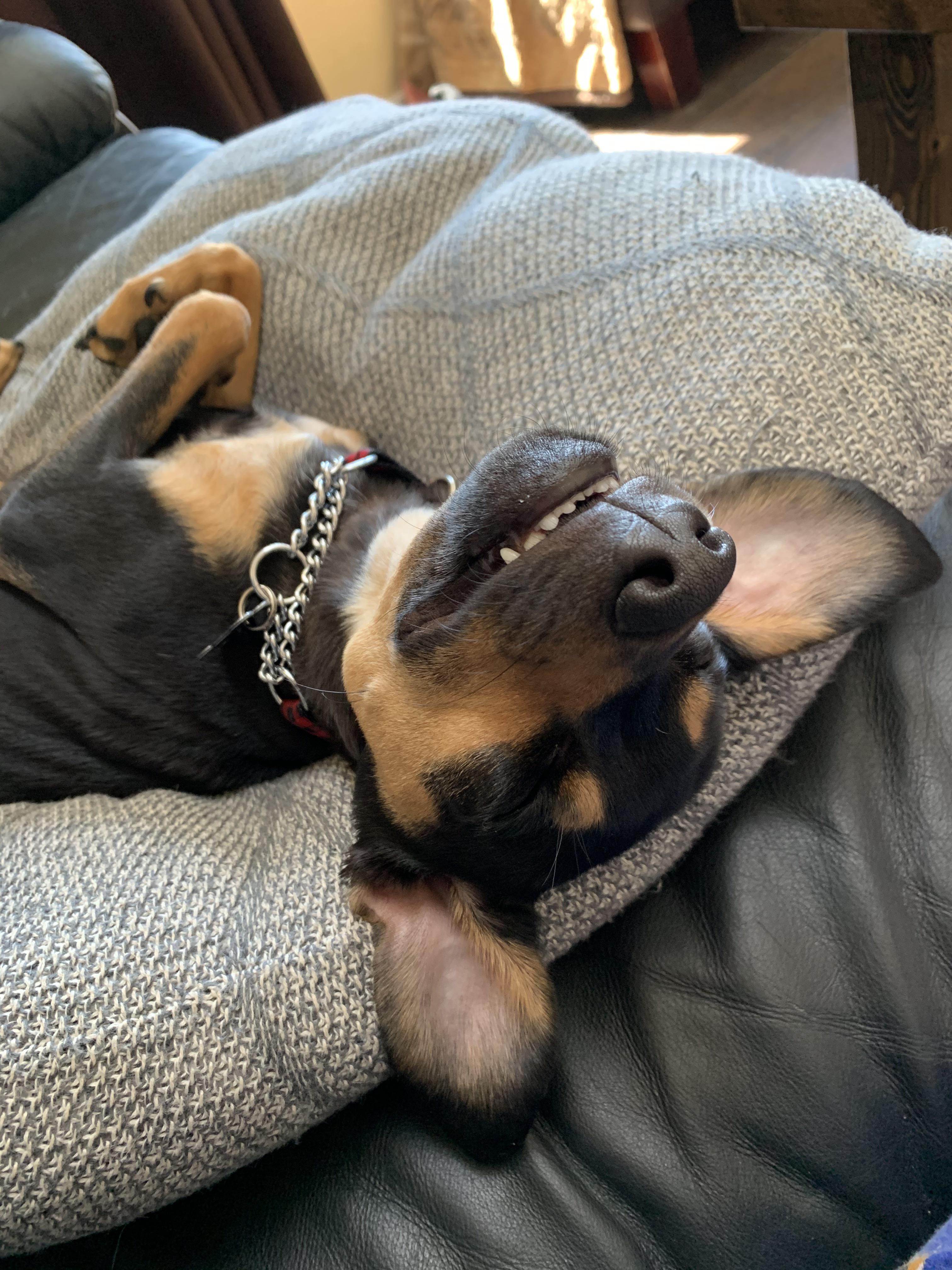 Sleep smiles! | Scrolller