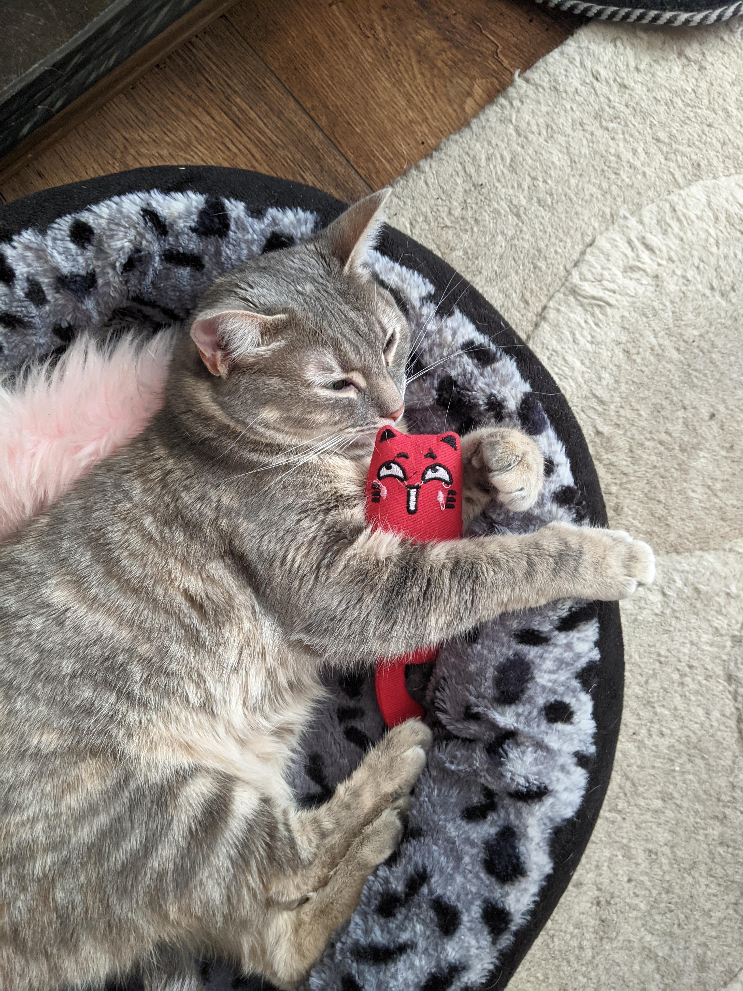 Sleep with her favourite toy | Scrolller