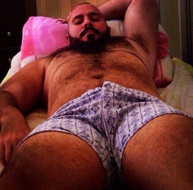 Sleeping bear... | Scrolller