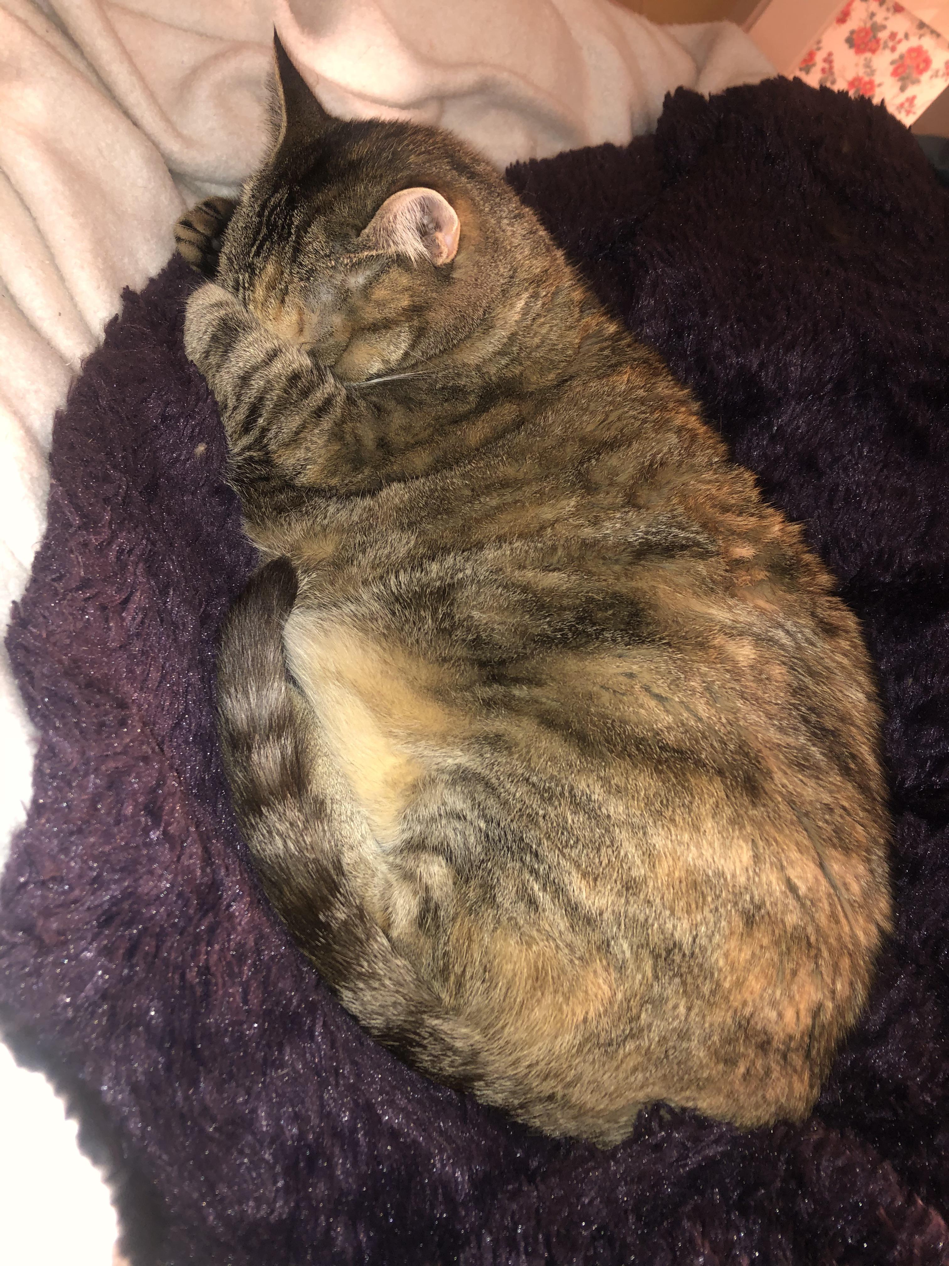 Delightfully snuggly | Scrolller