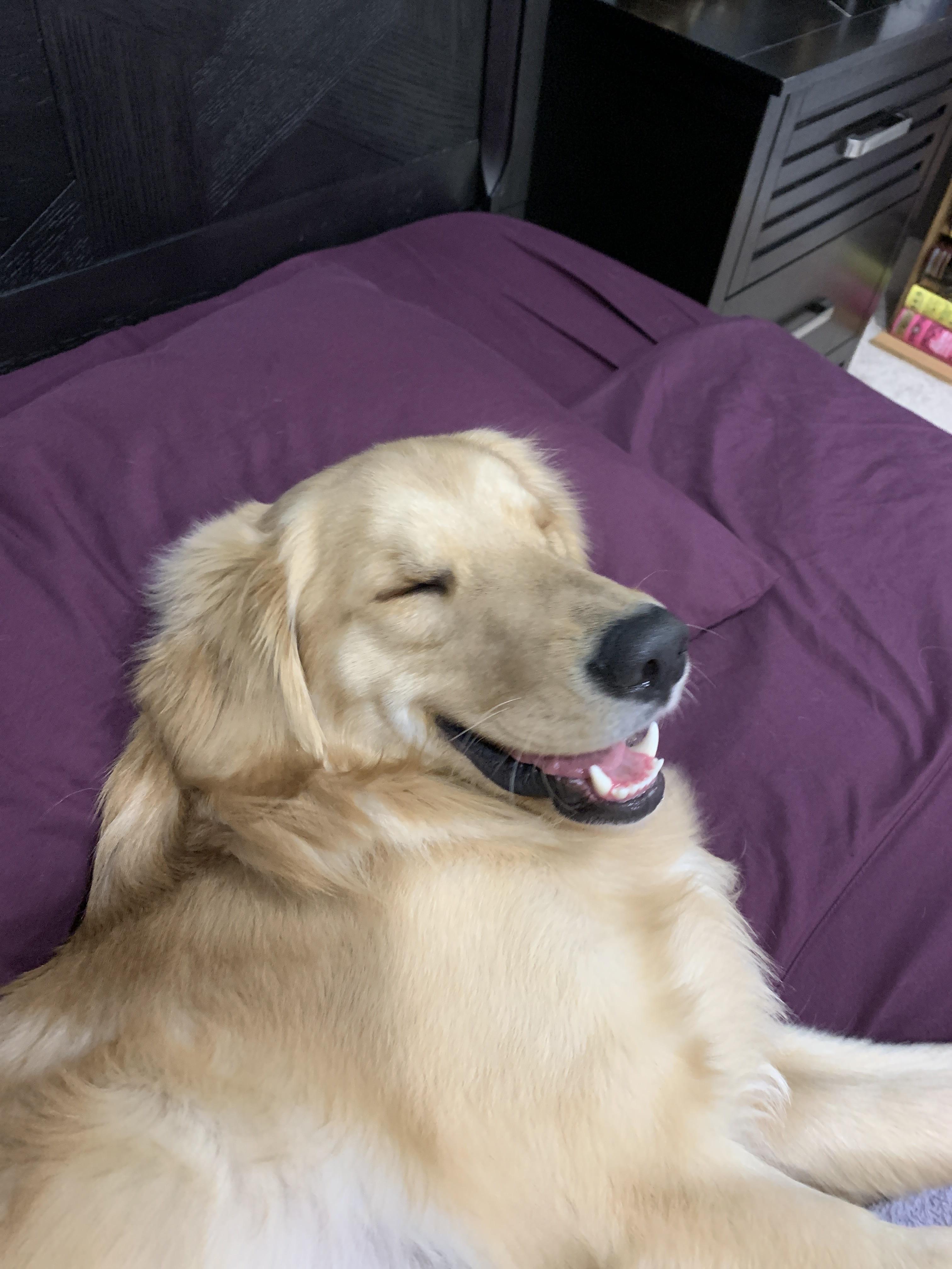 sleepy baby | Scrolller