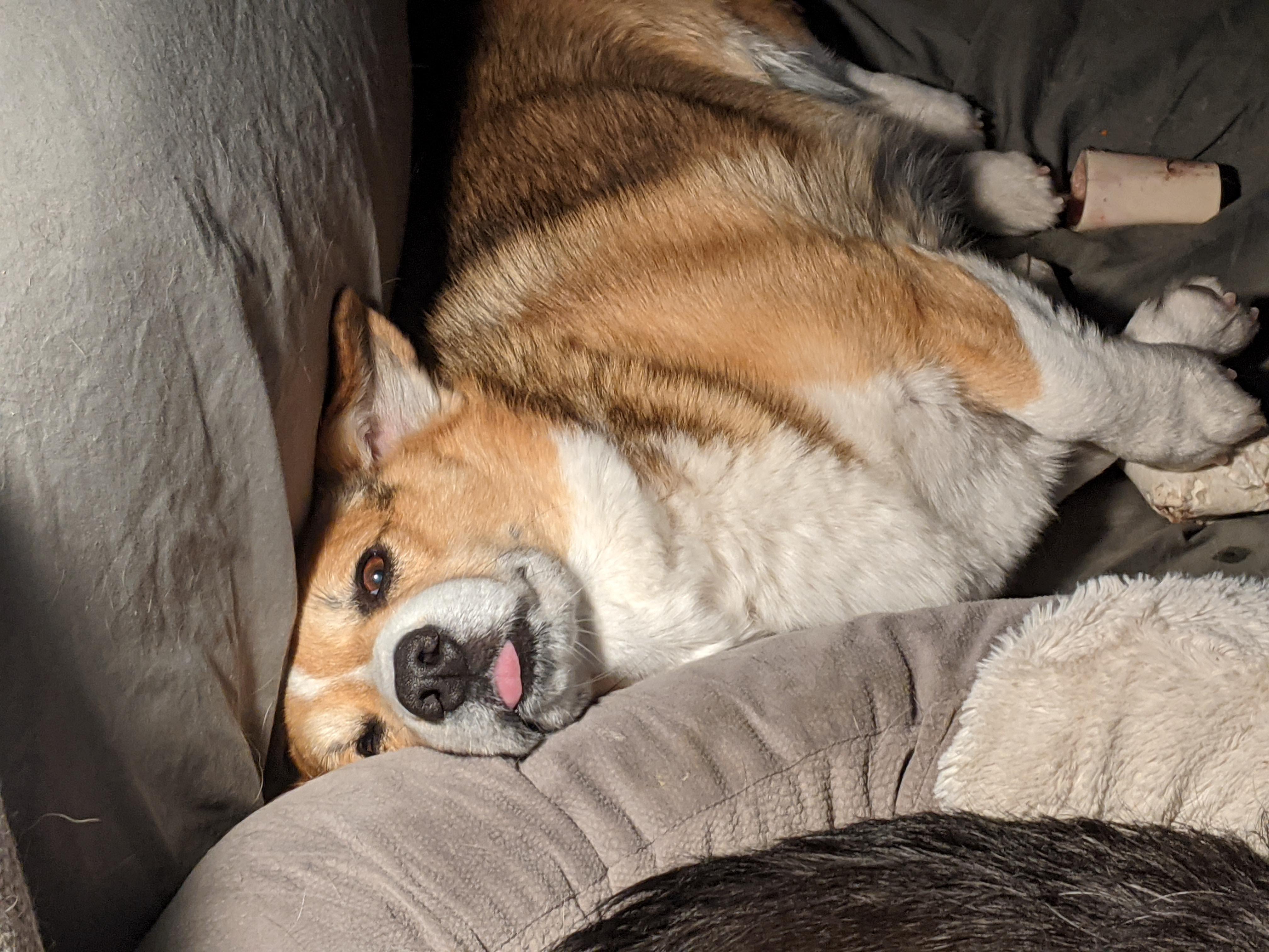 Sleepy blop | Scrolller