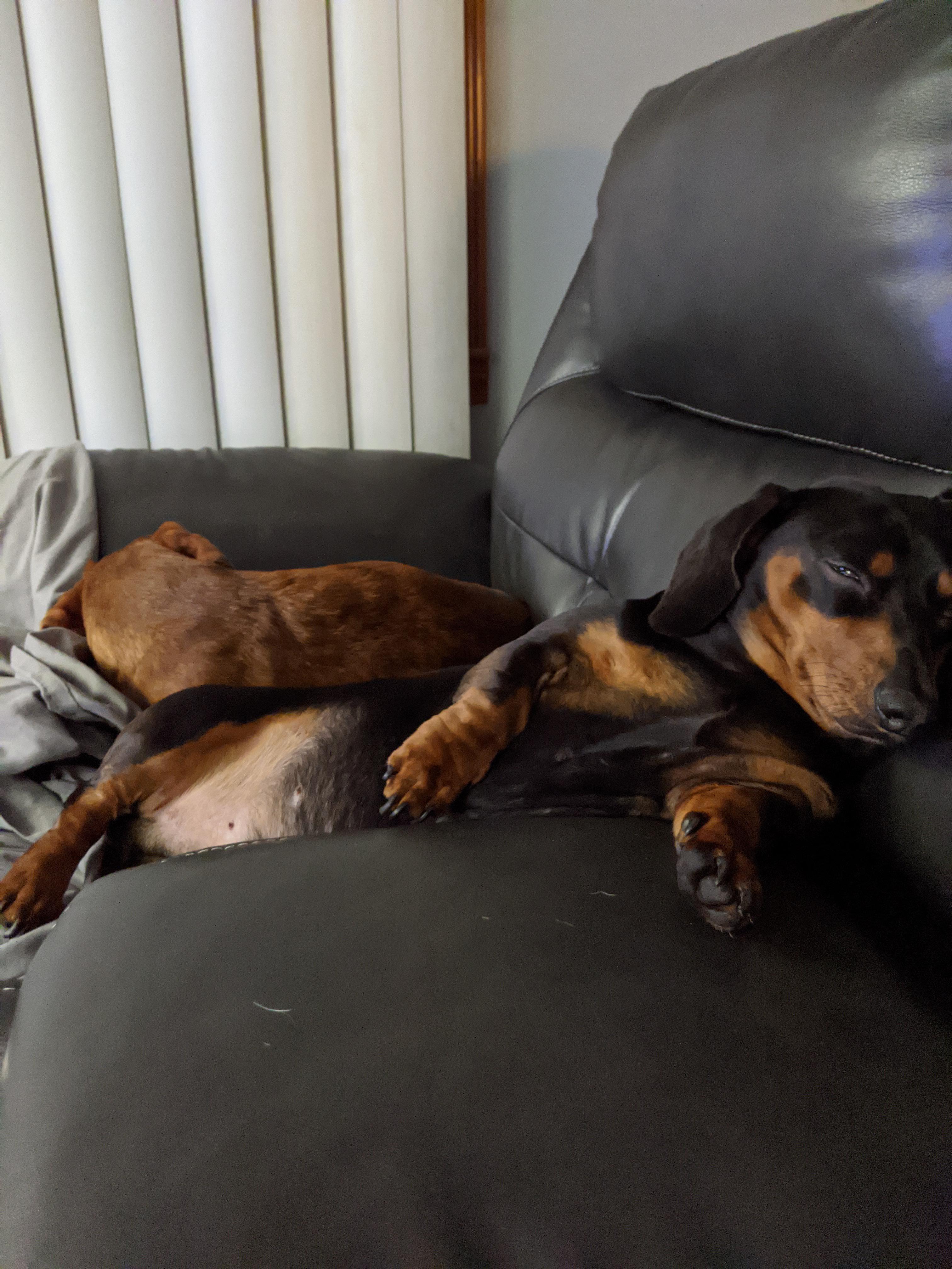 Sleepy boy | Scrolller