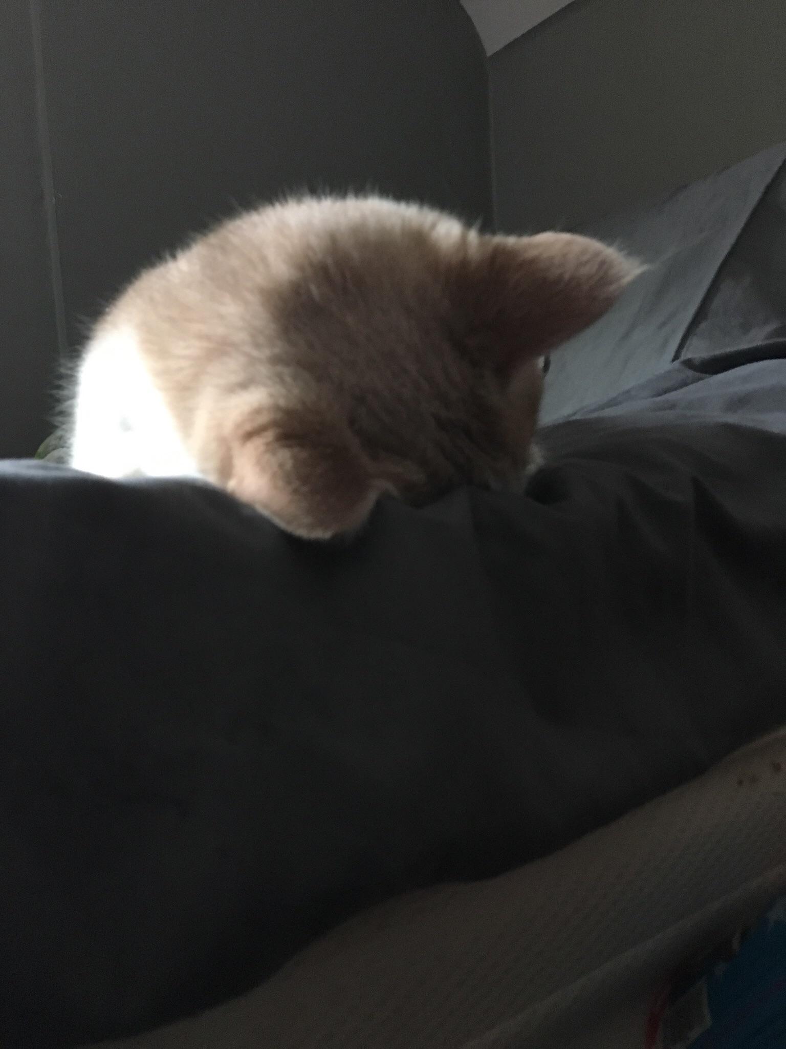 Sleepy boy | Scrolller