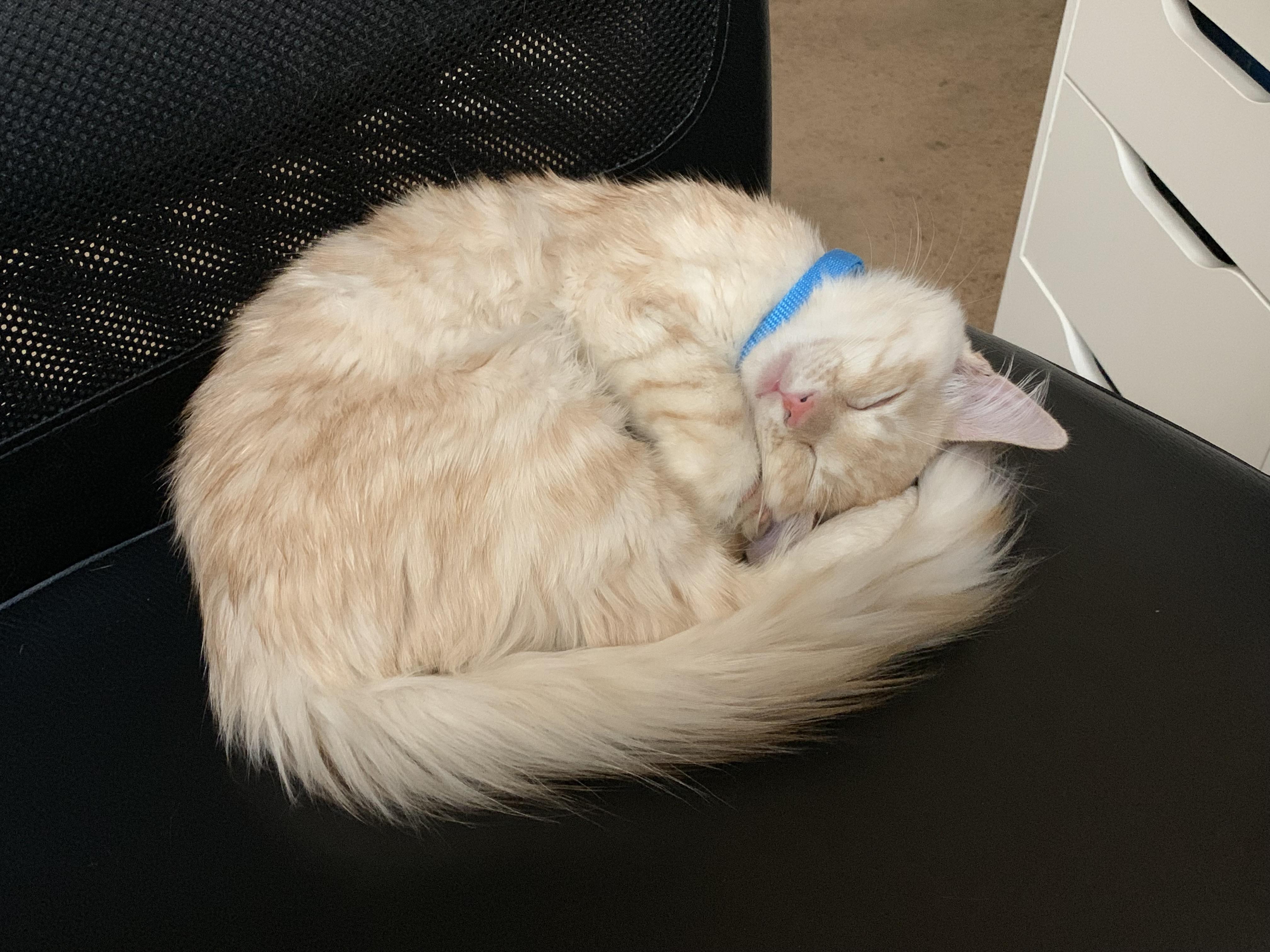 Sleepy boy | Scrolller