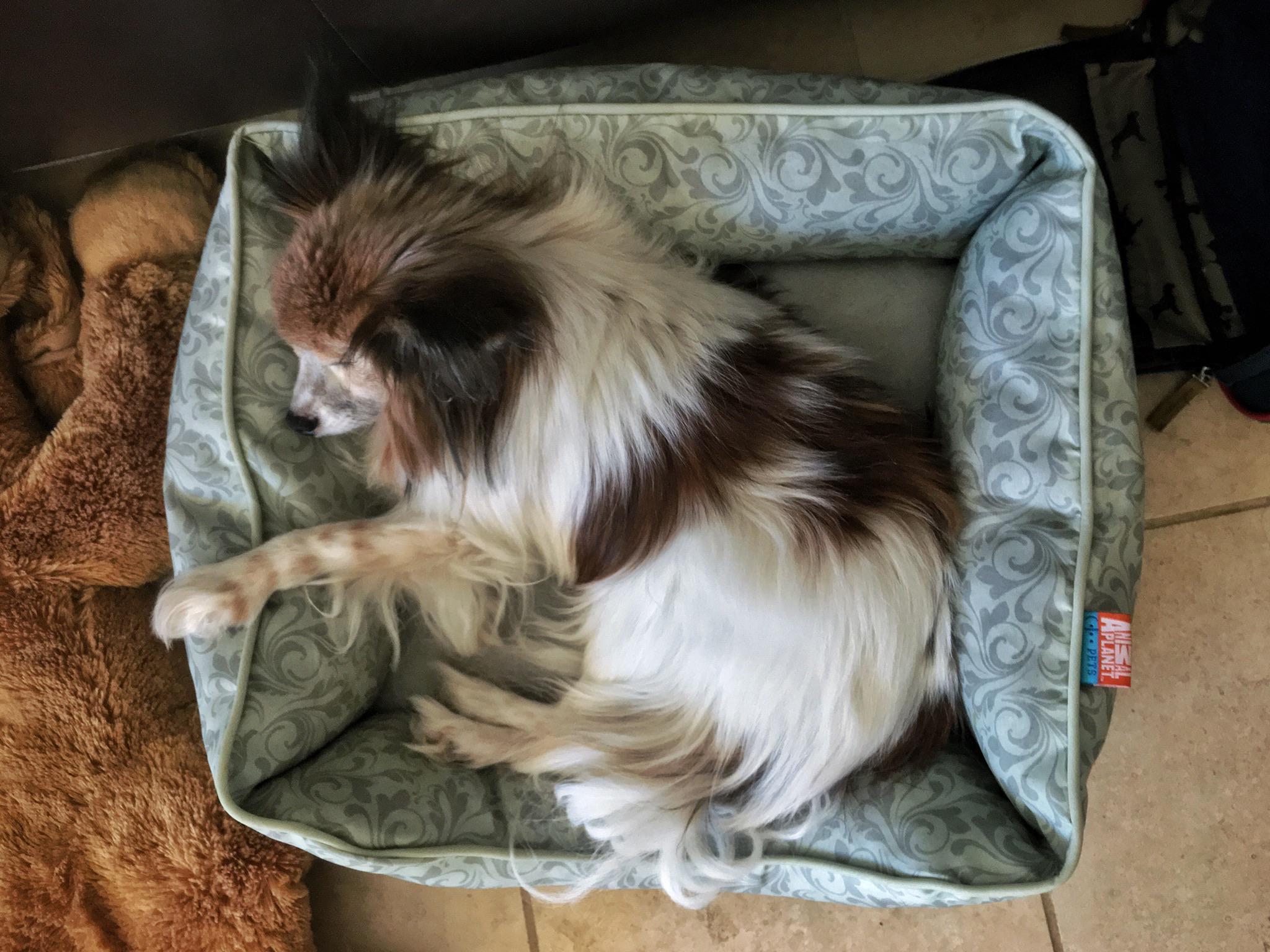 Sleepy boy | Scrolller