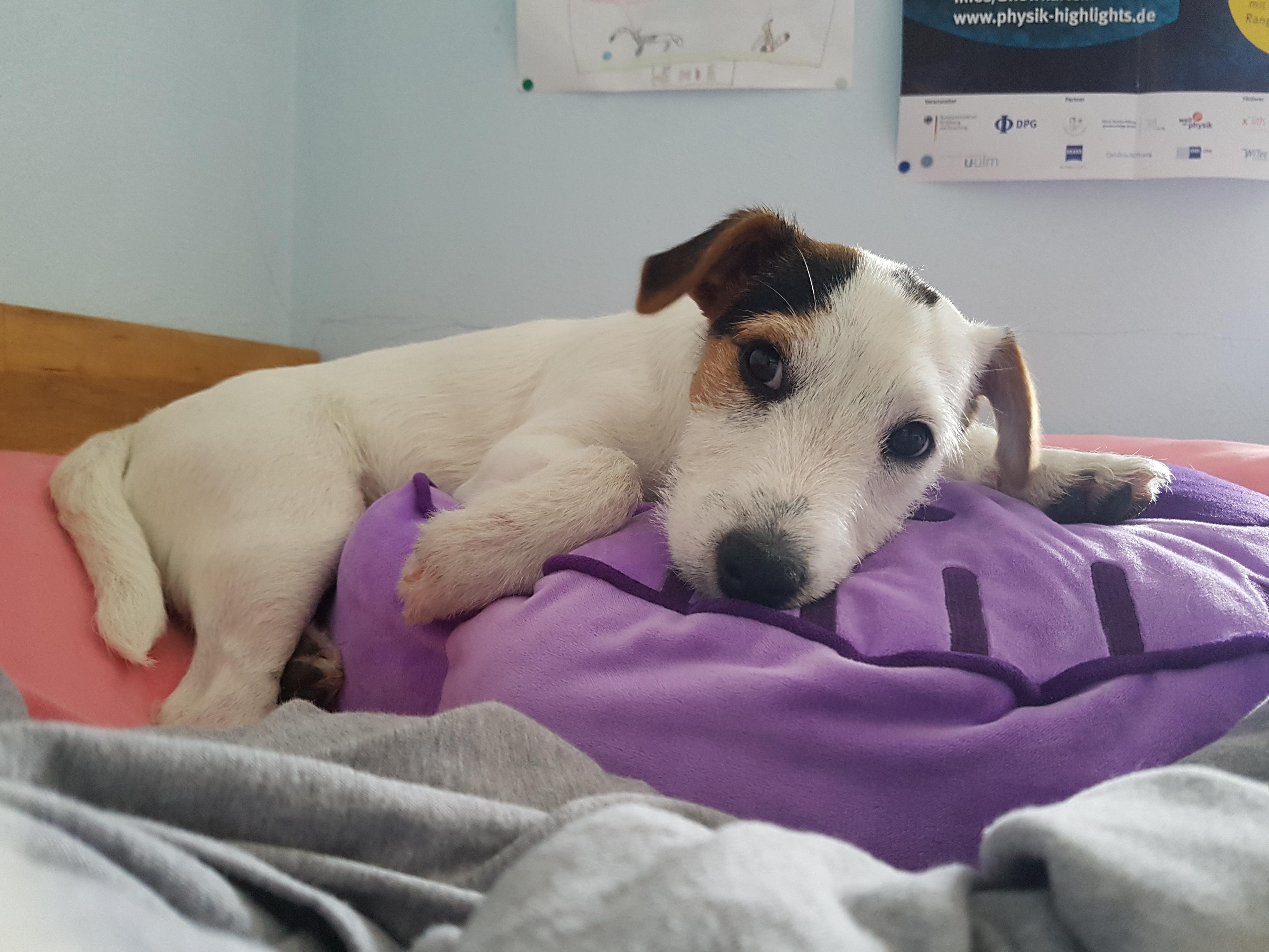 Sleepy gal | Scrolller