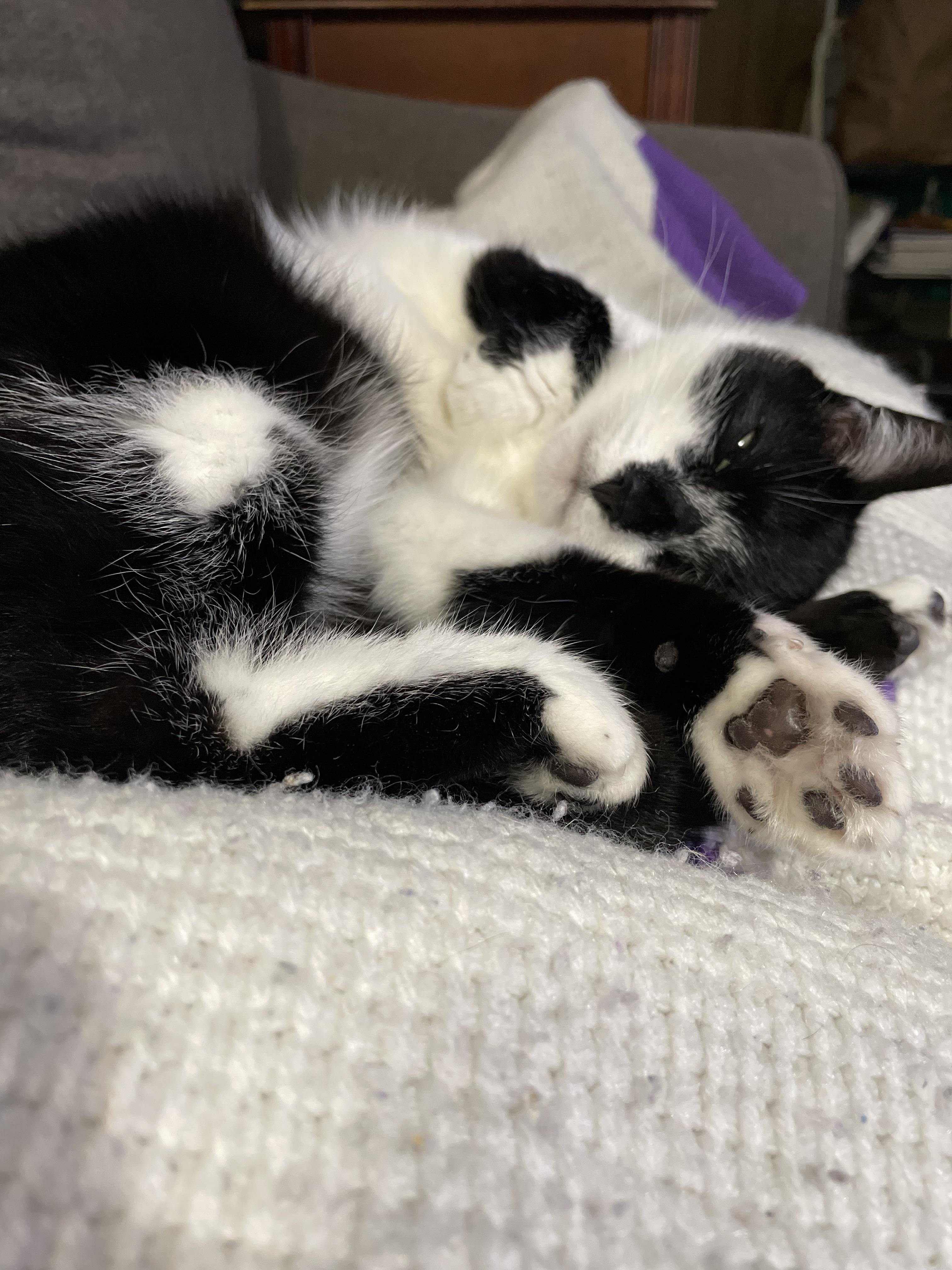 Sleepy girl | Scrolller