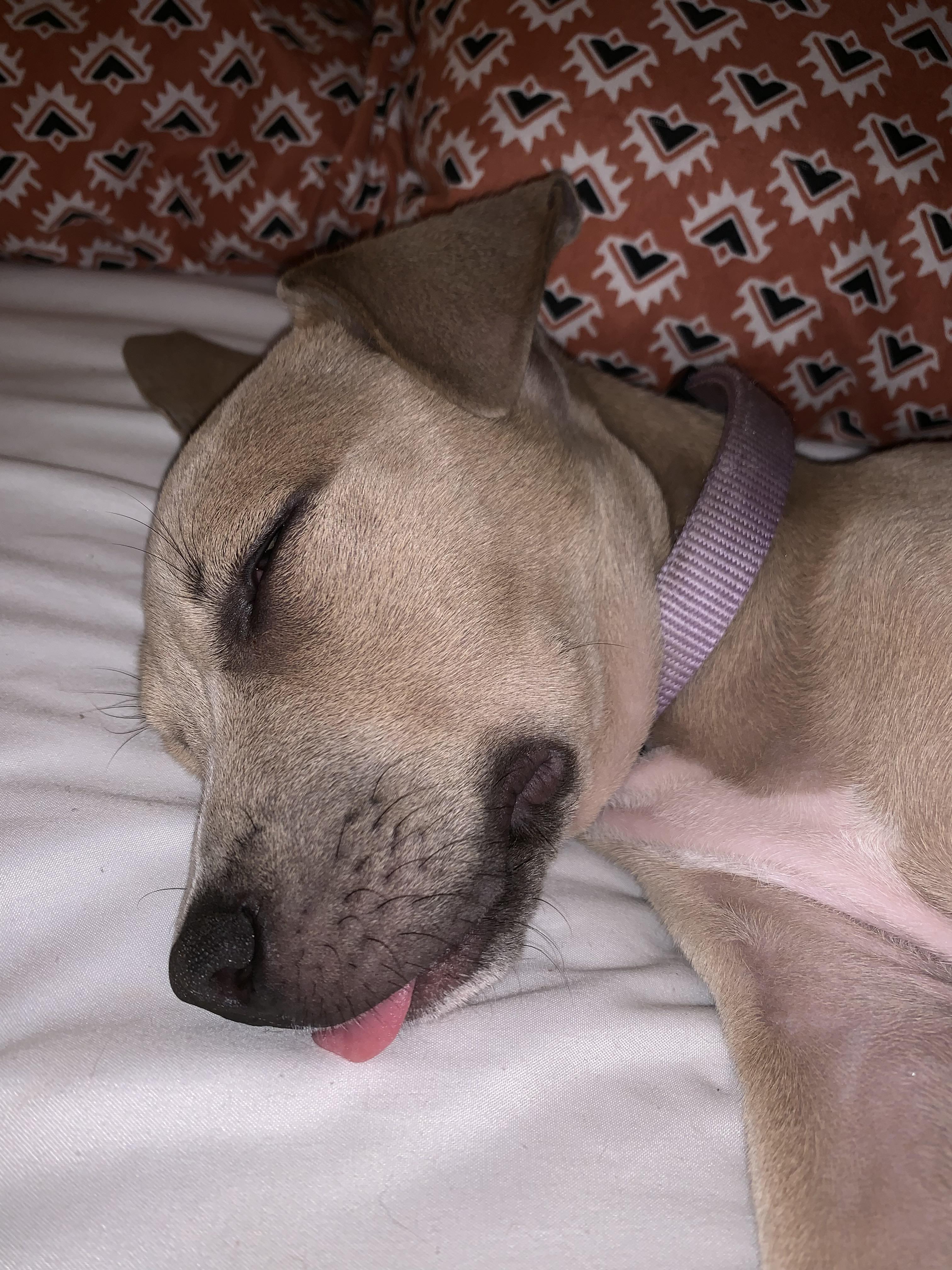Sleepy girl blop | Scrolller