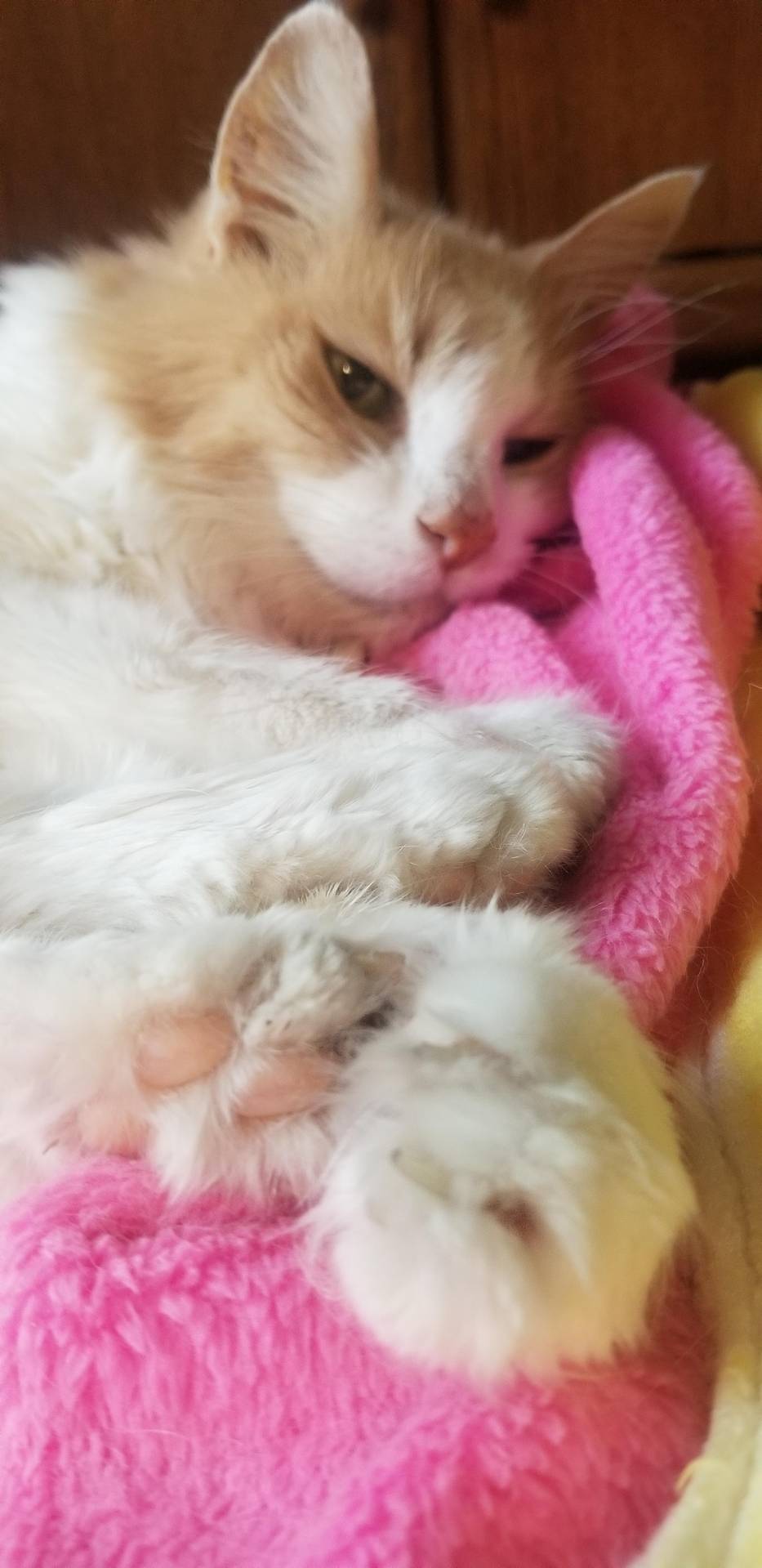 Sleepy grandpa showing off his toebeans *and* murder mittens | Scrolller