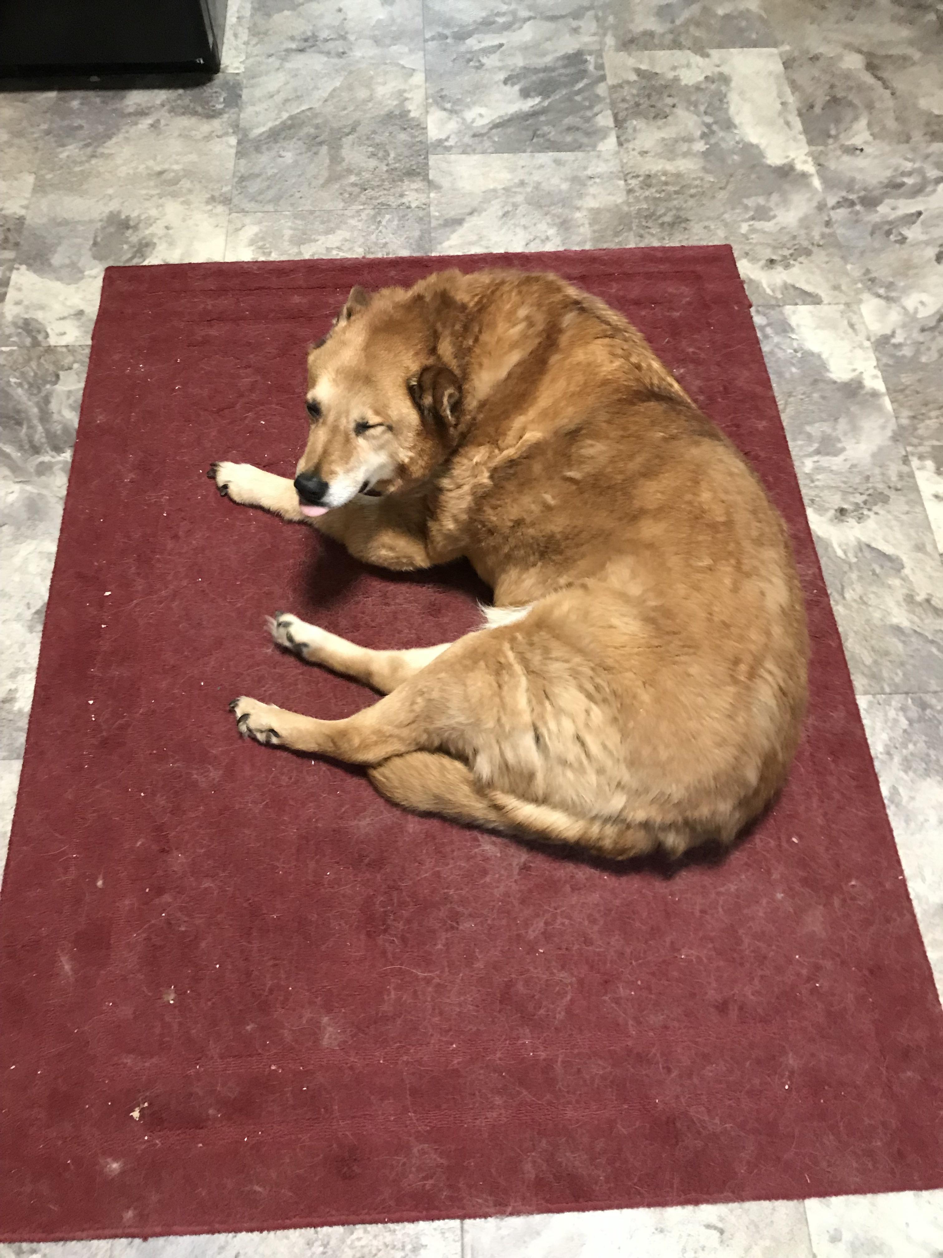 Sleepy n winking blop | Scrolller