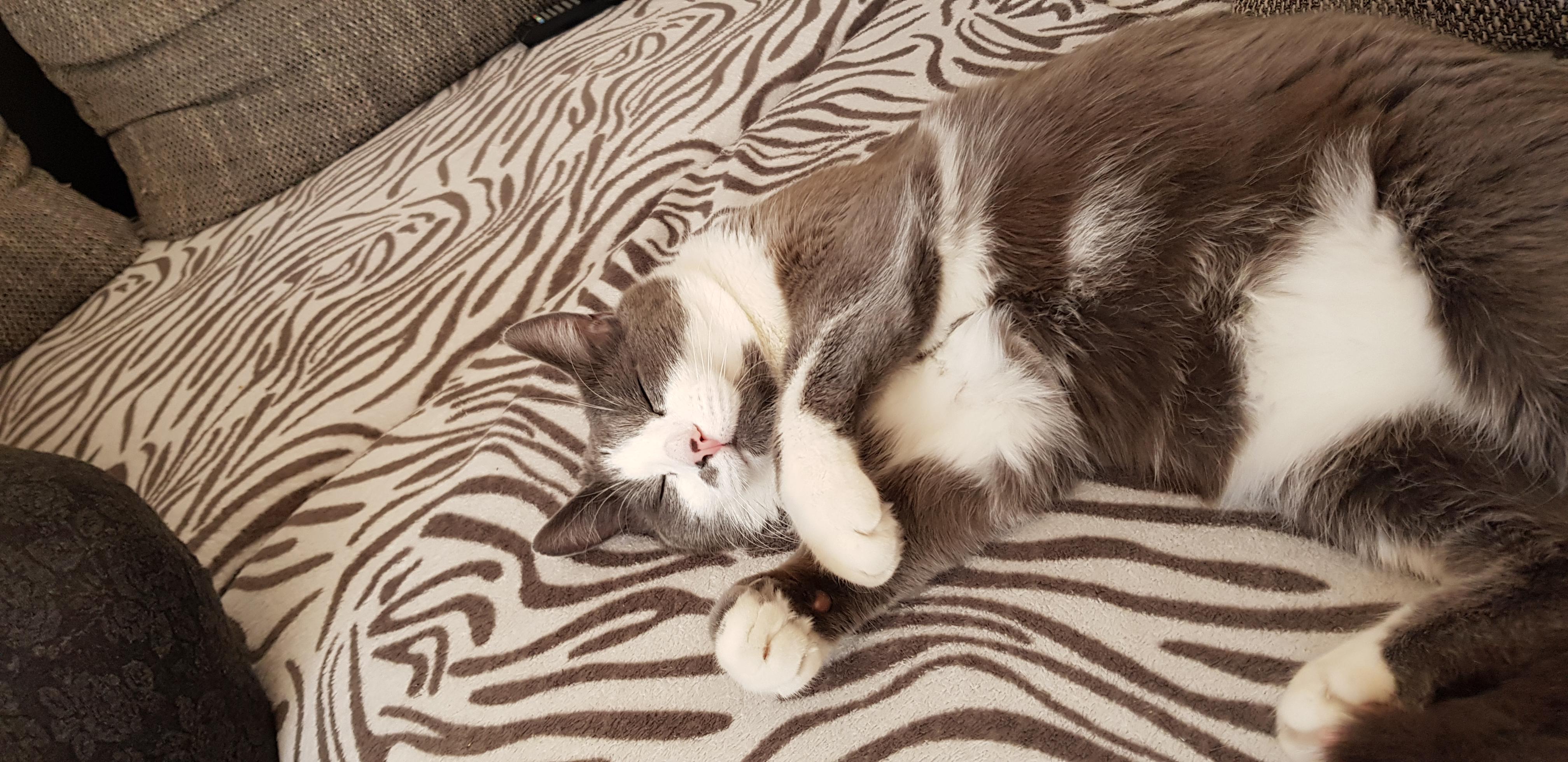 Sleepy time | Scrolller