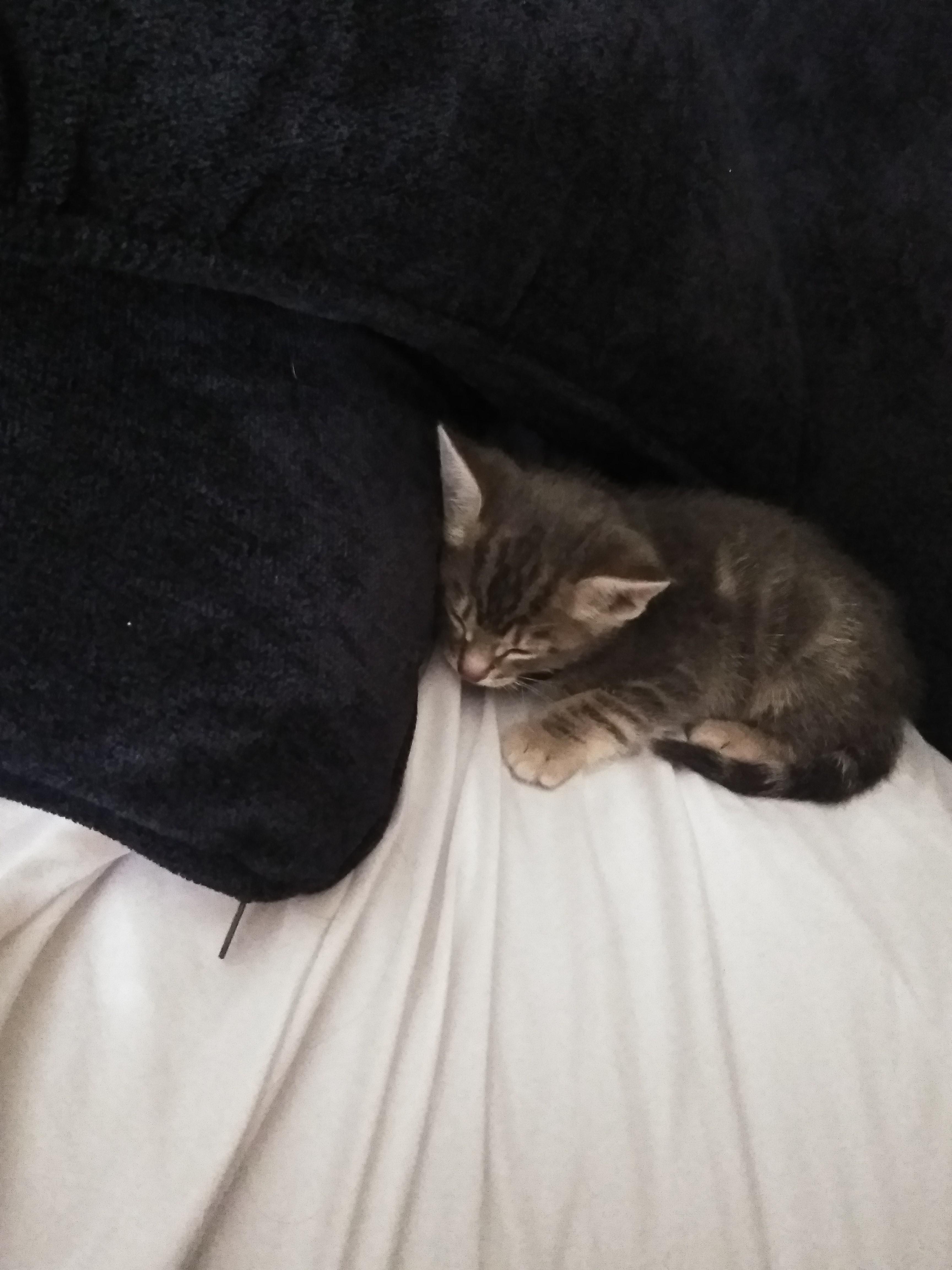 Sleepyhead | Scrolller