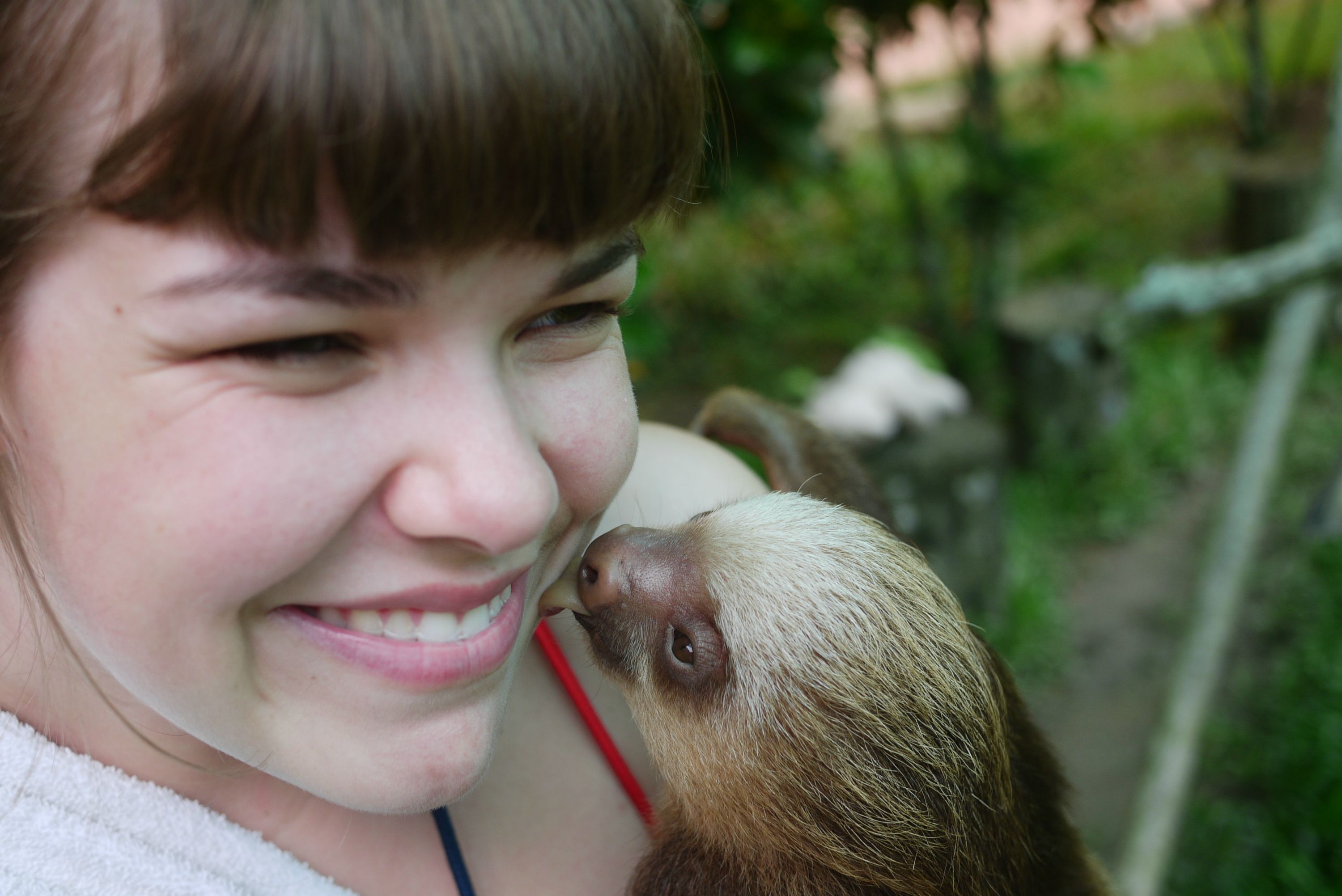 Sloth kisses from my baby Velcro | Scrolller